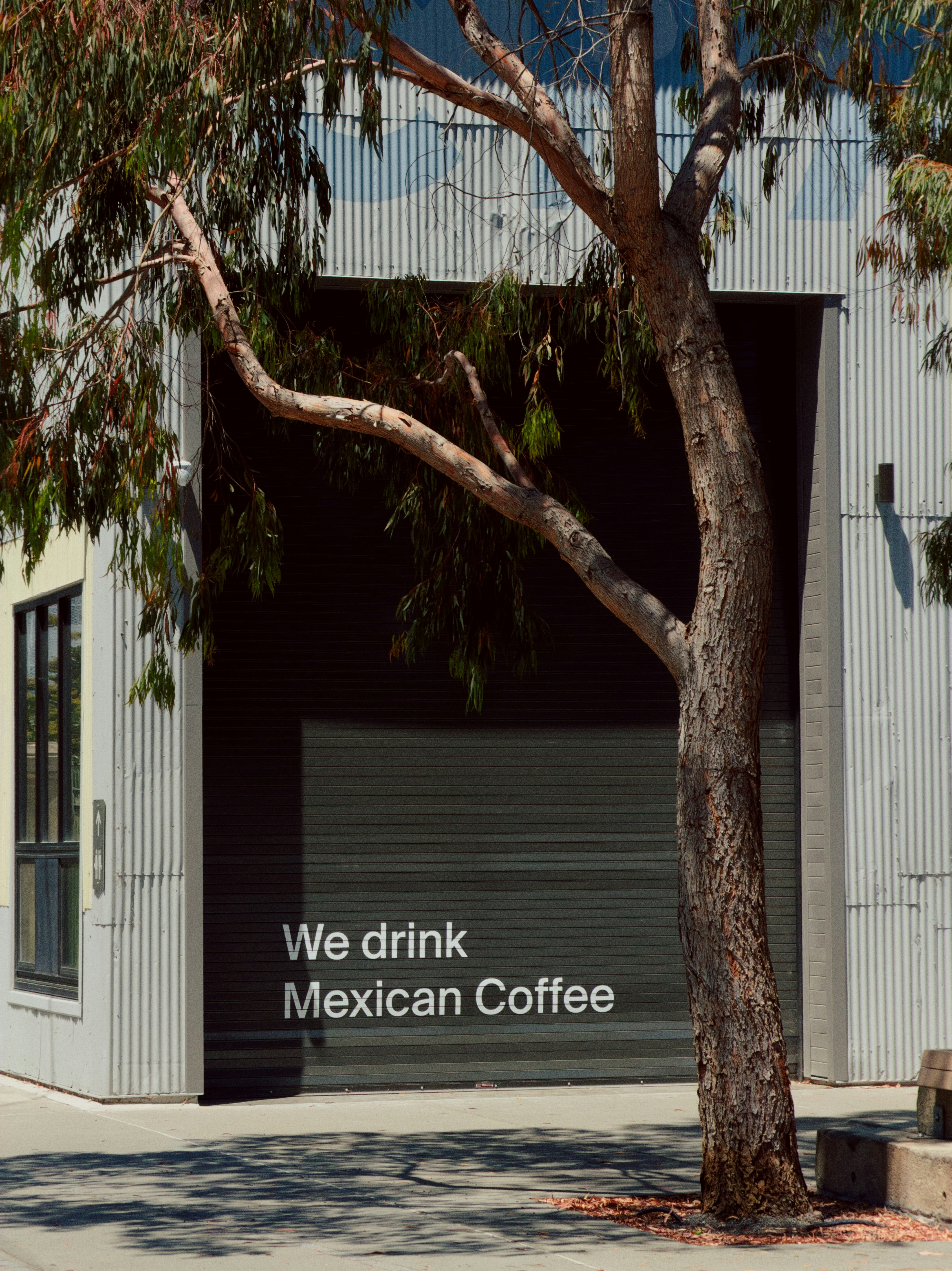 Shade & Sign: A Coffee Storefront Framed by a Tree