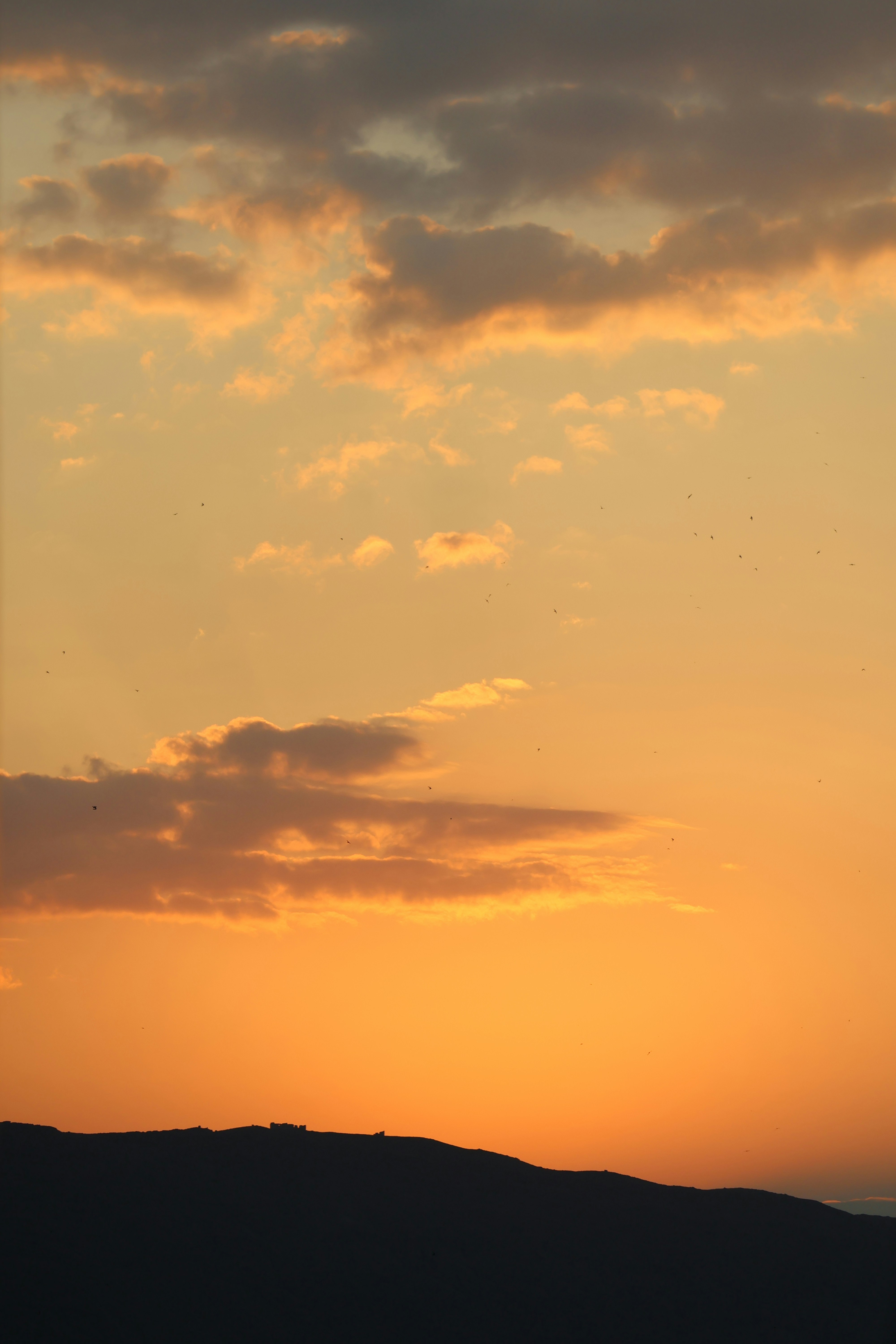 Dusk Over the Silhouette: Quiet Horizon