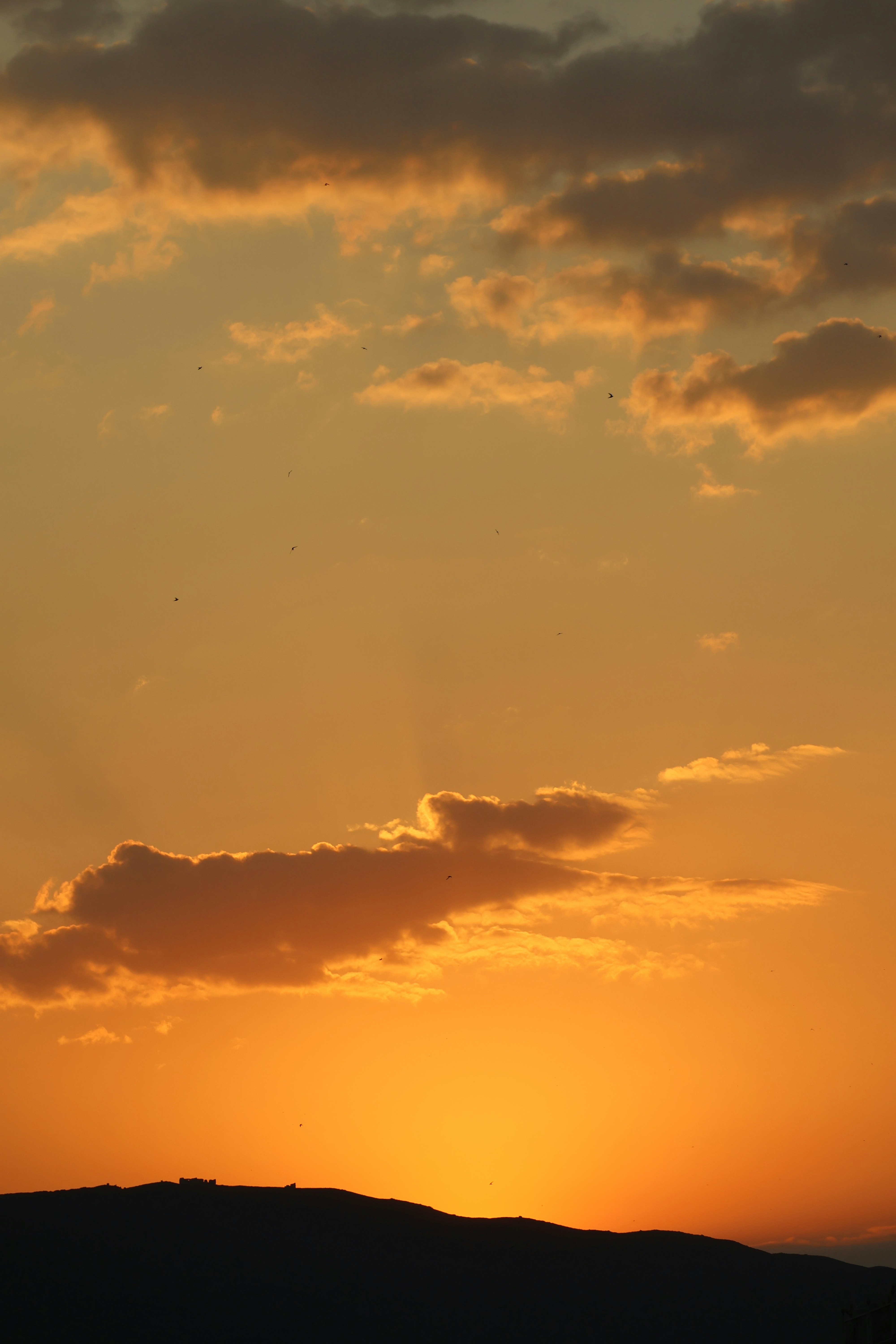 Golden Horizon: Dusk Over the Quiet Ridge