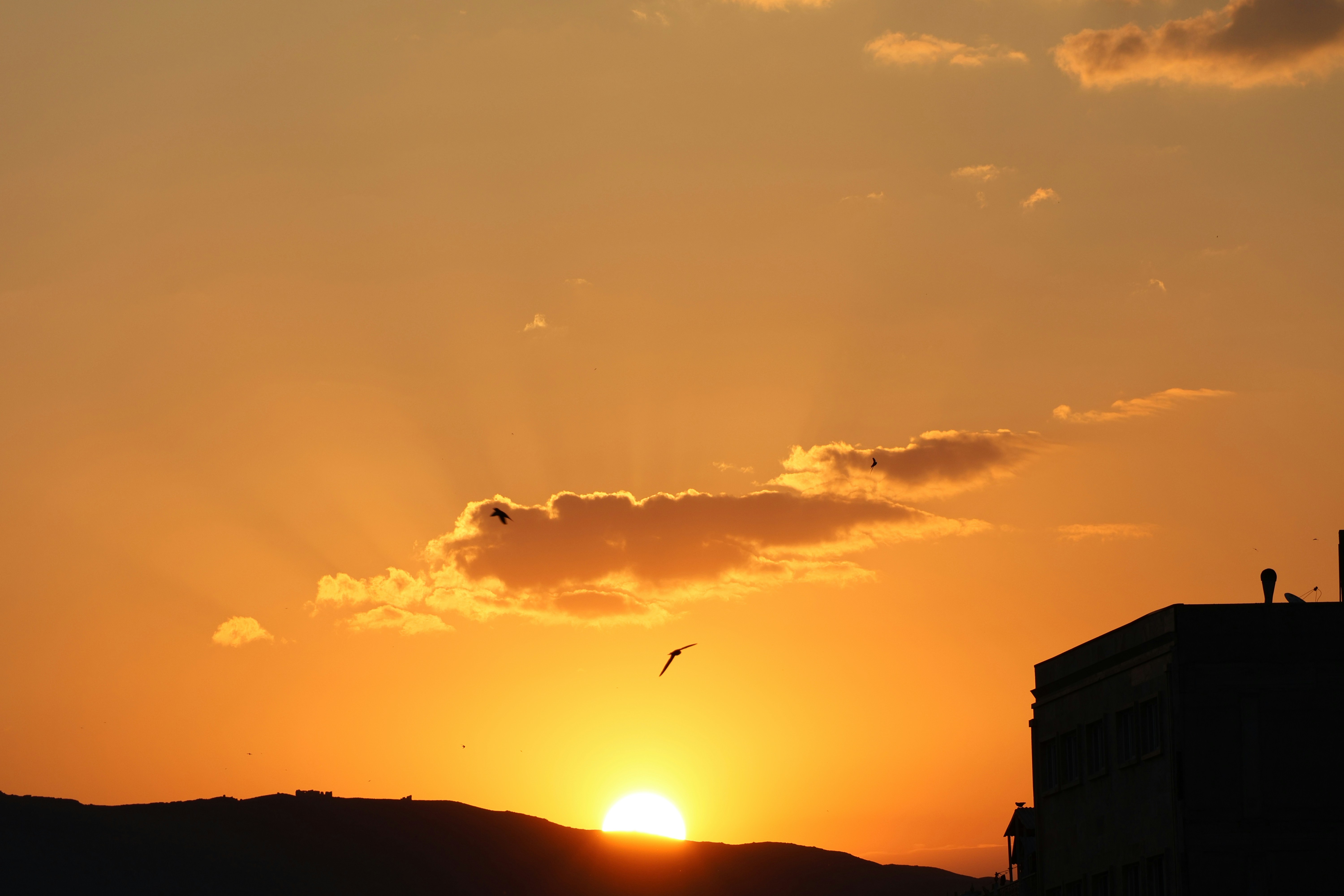 Sunset Over the Crest: A Silhouette Against the Dimming City Edge