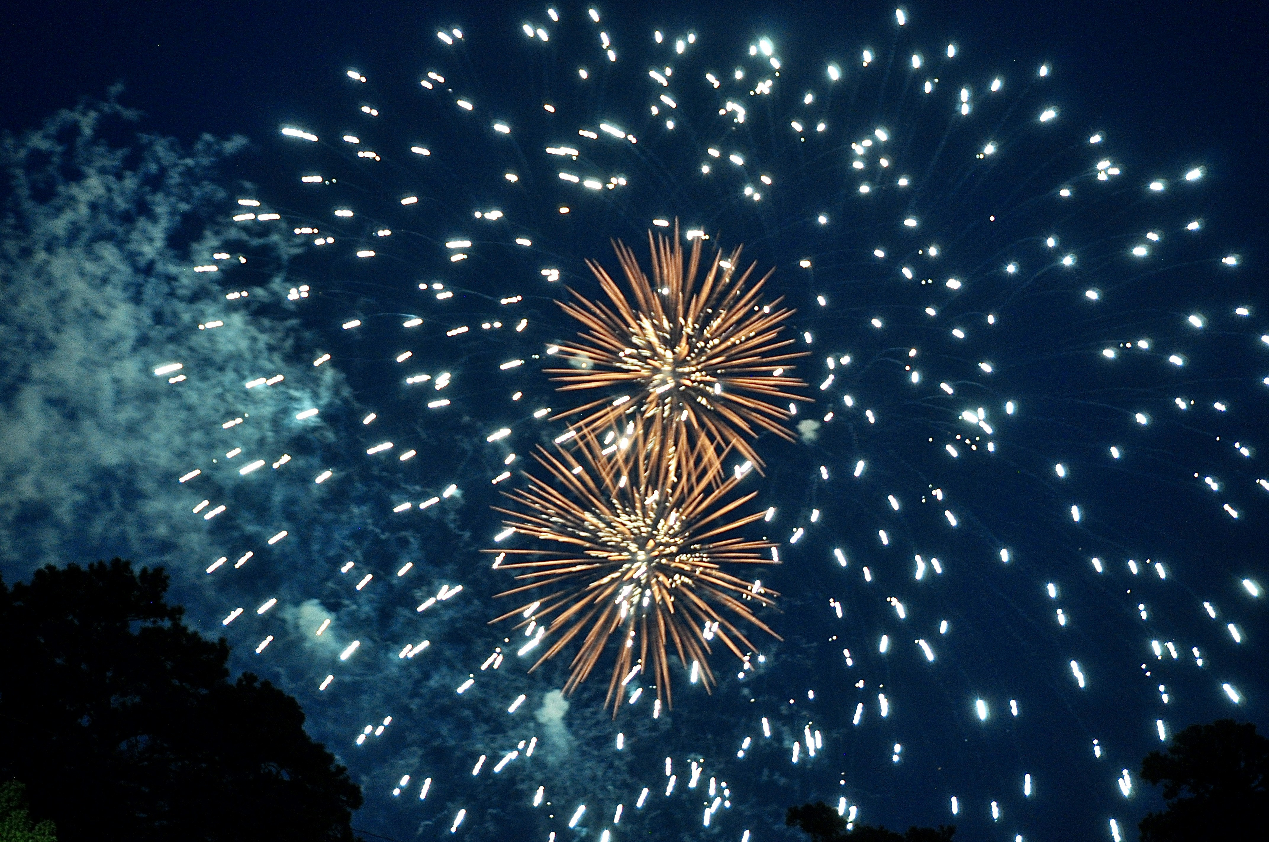 Twin fireworks explode above a dark tree line, painted with bright trails against a night sky. The image captures the moment with a crisp foreground silhouette and vibrant light bursts.