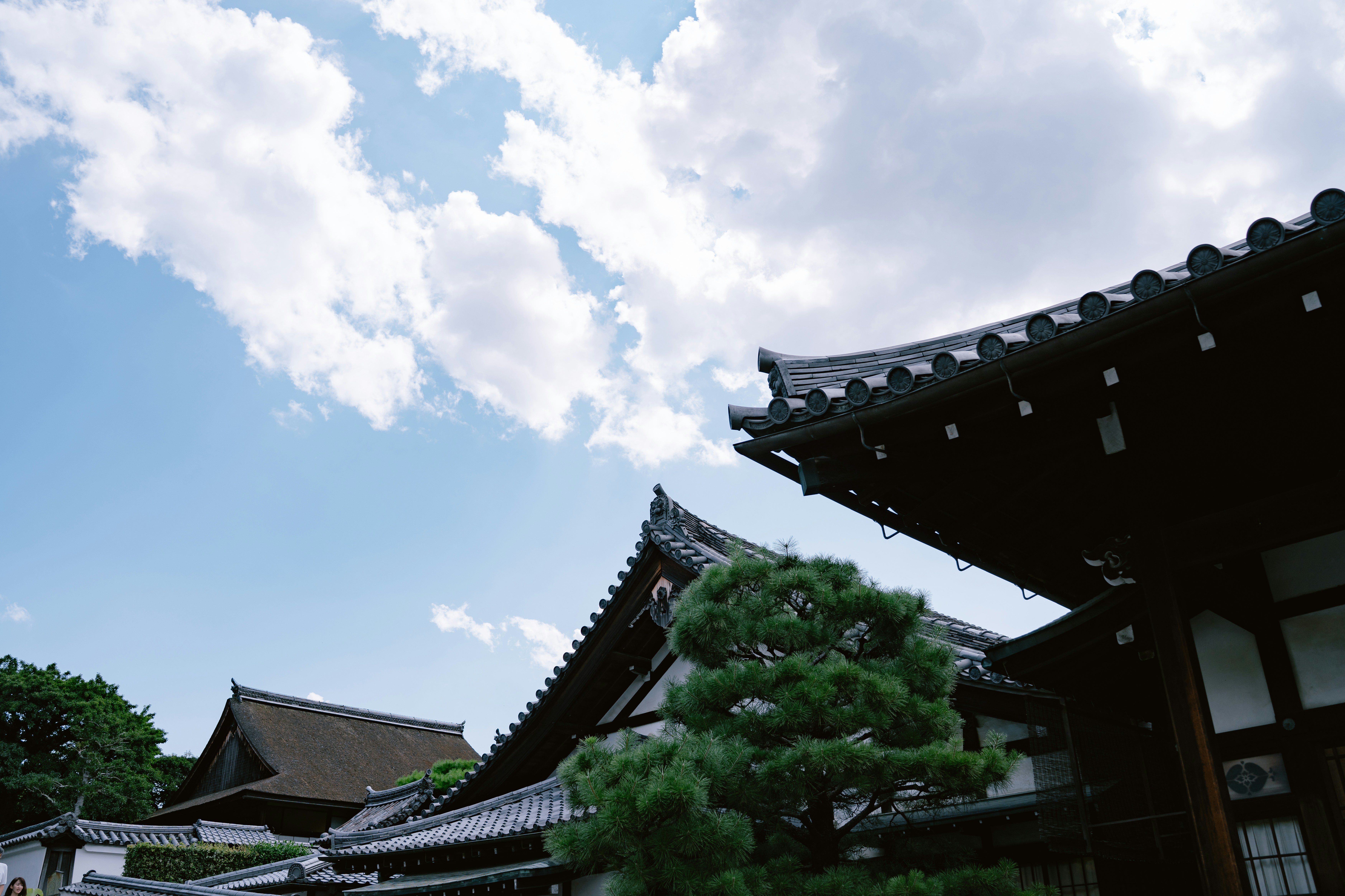 Temple Rooflines Beneath a Luminous Sky