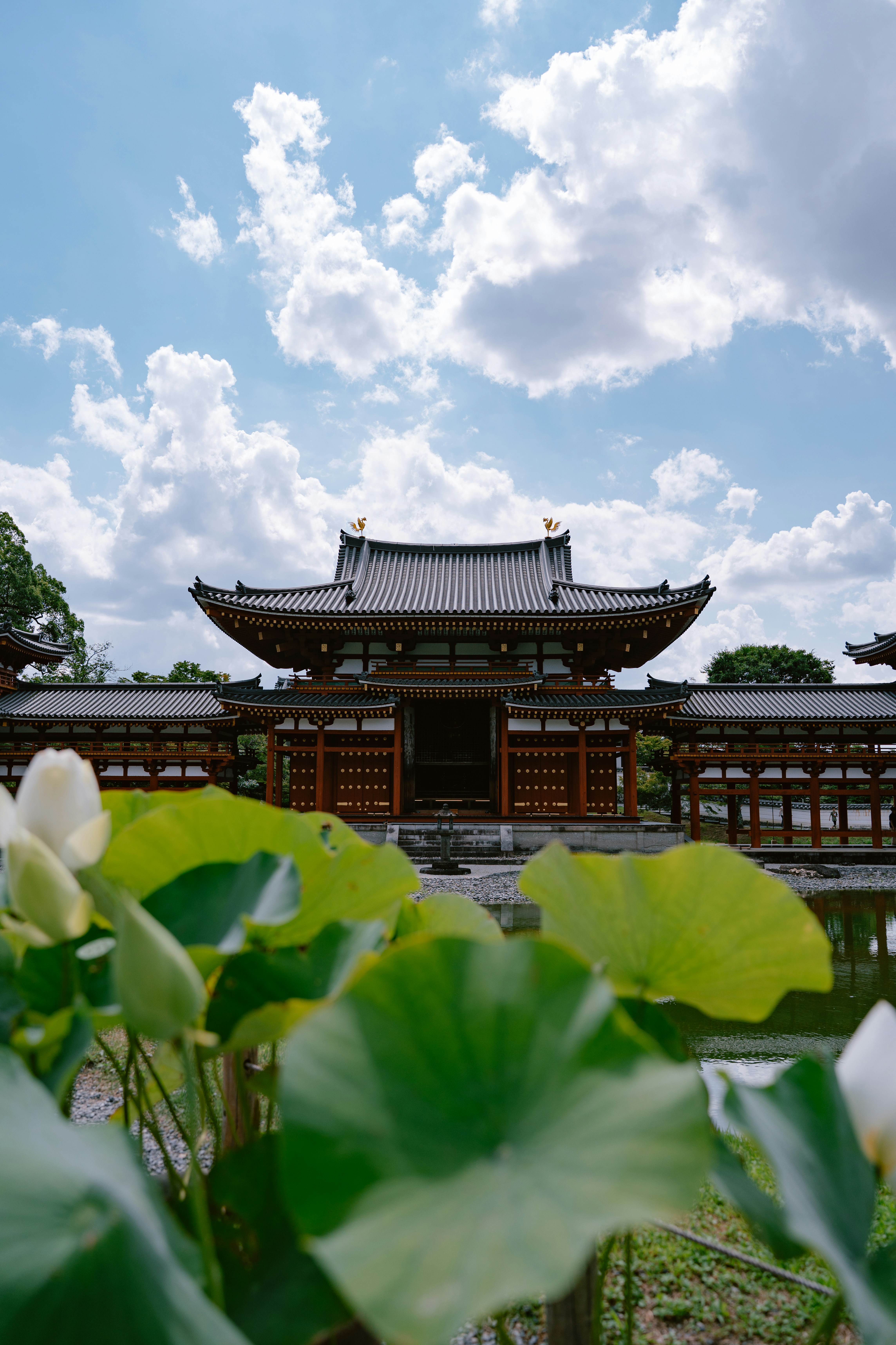 Temple Courtyard Framed by Lotus Leaves