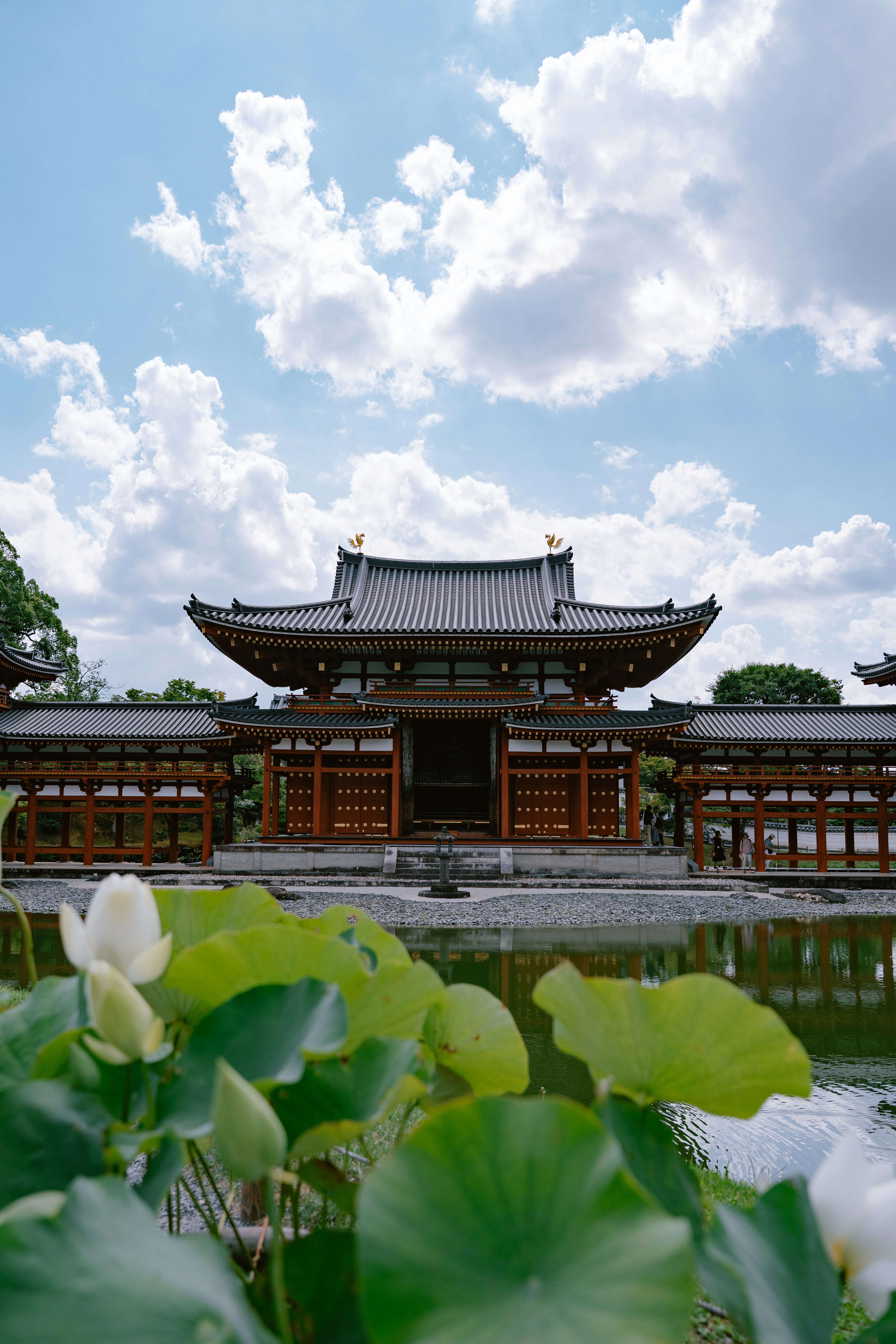 Temple in Waterlily Garden Under a Sky of Fluffy Clouds