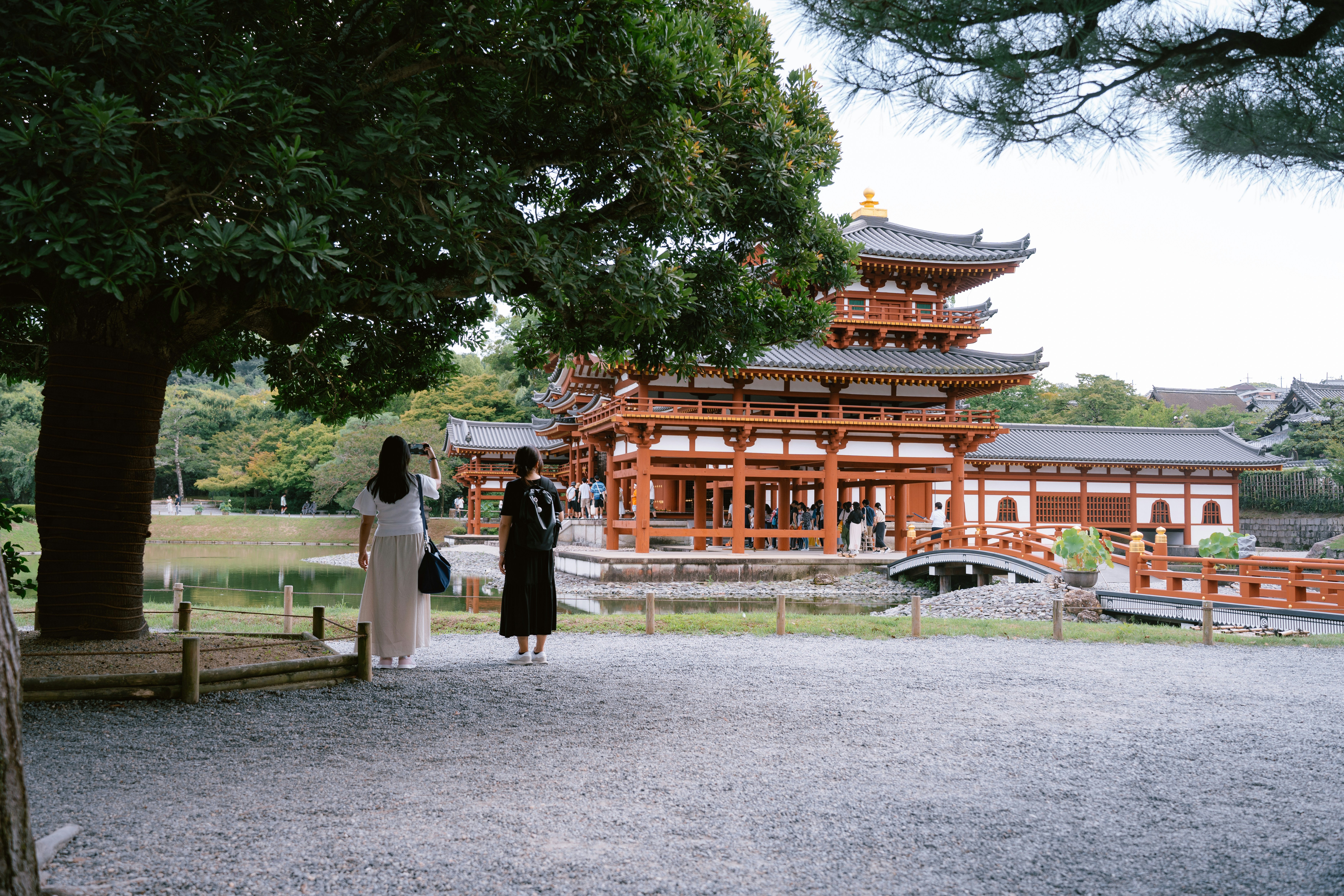 Temple Gate in a Tranquil Japanese Park