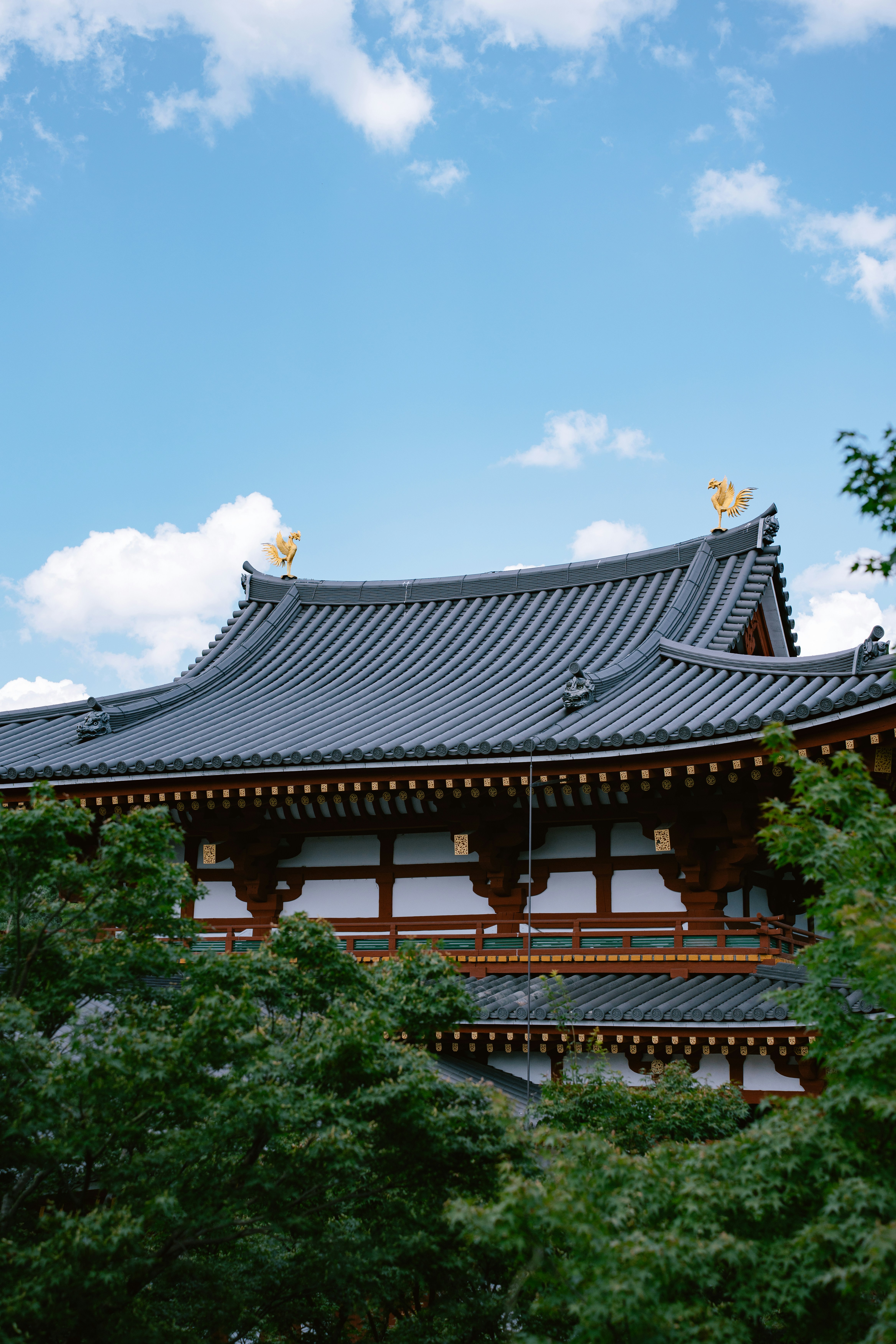 Temple Roof Dragons Against a Cerulean Sky