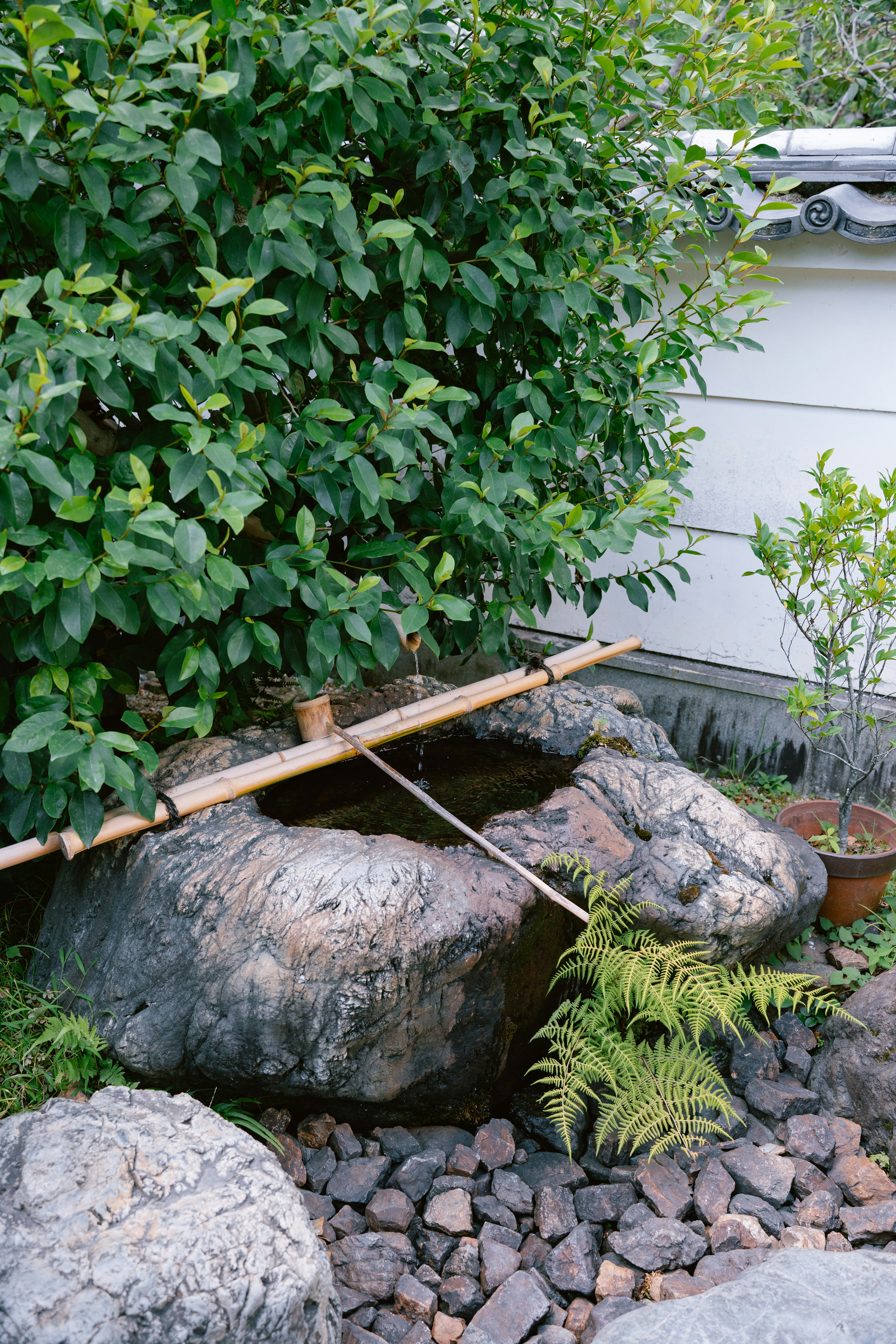 Bamboo Stake Across a Mossy Stone Water Basin