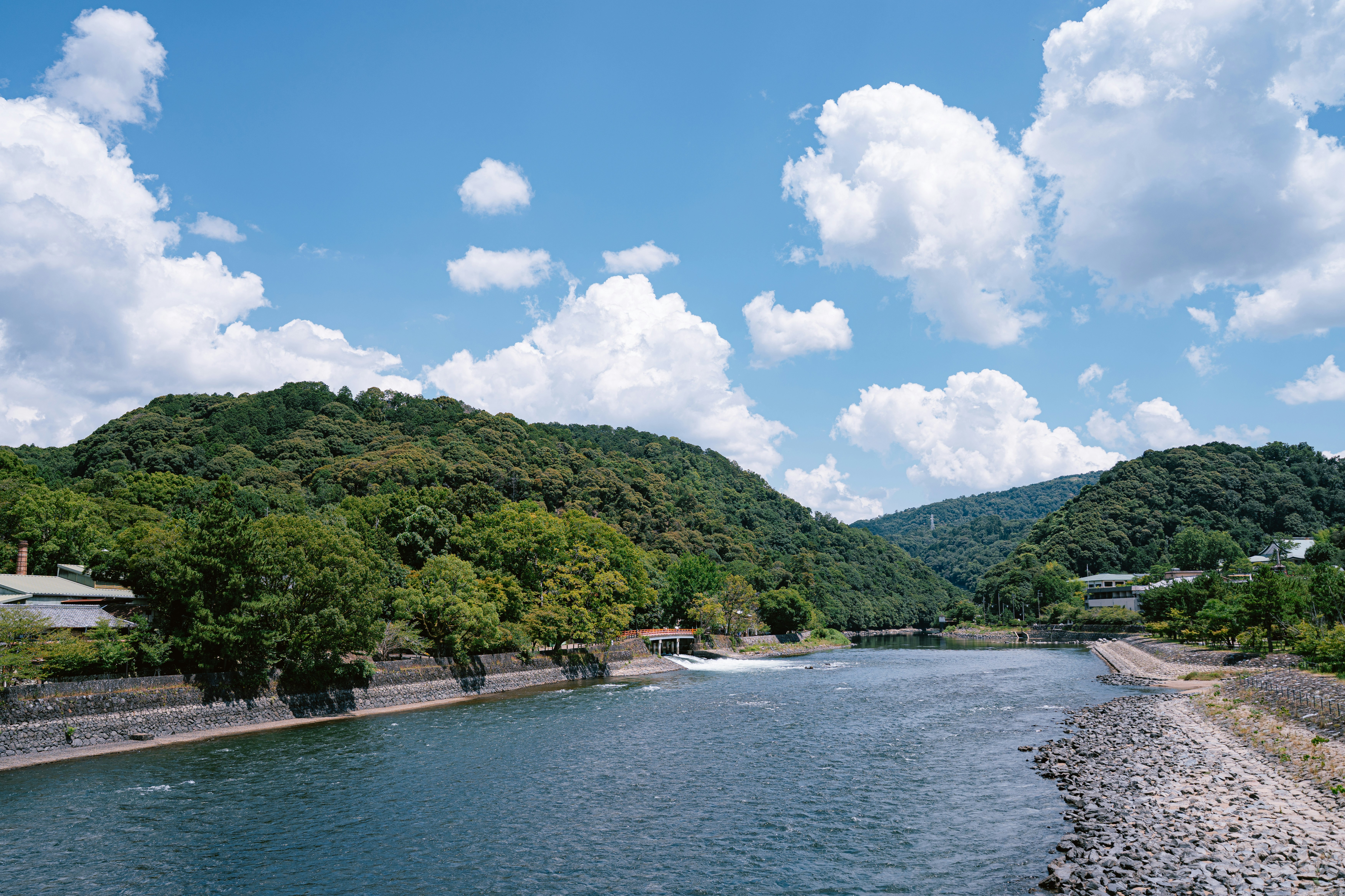 Riverbend Oasis: A Quiet Convergence Under Open Skies