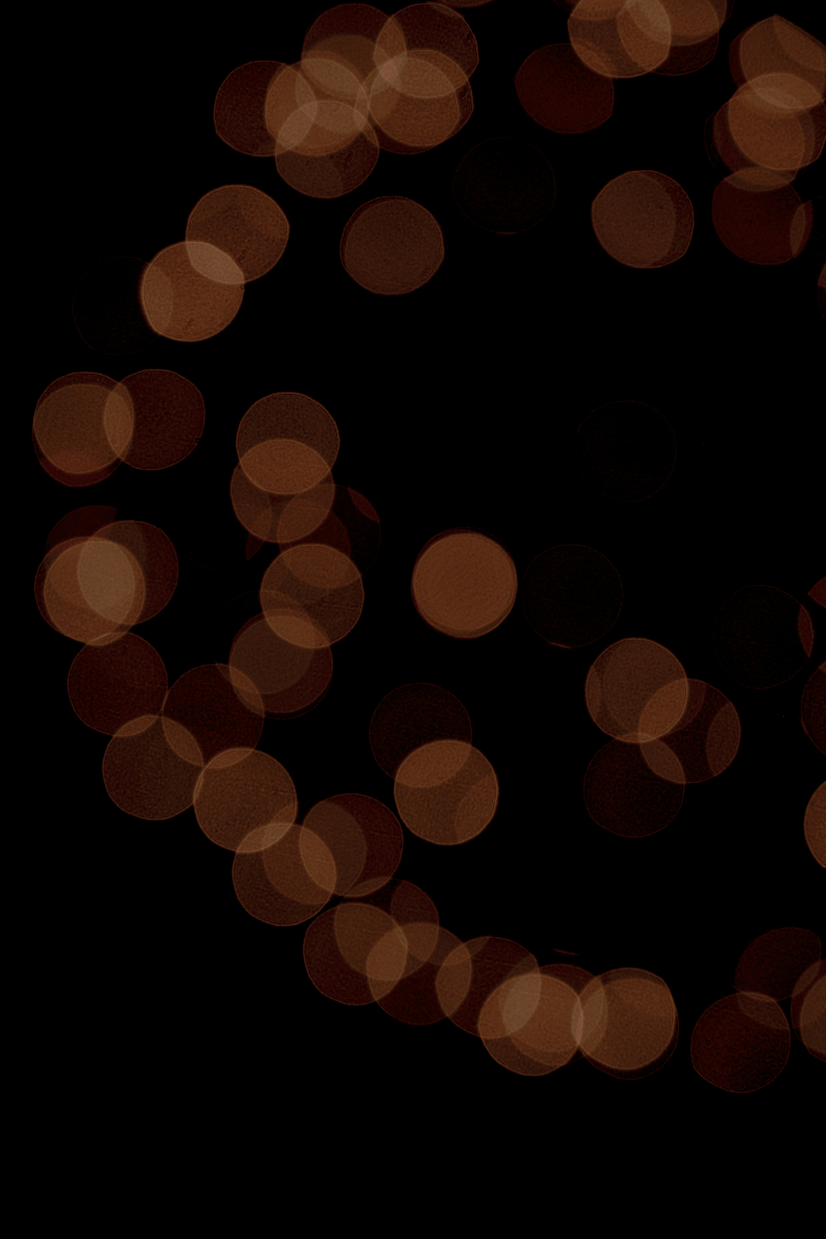 Orbits in the Dark: Copper Bokeh Circles