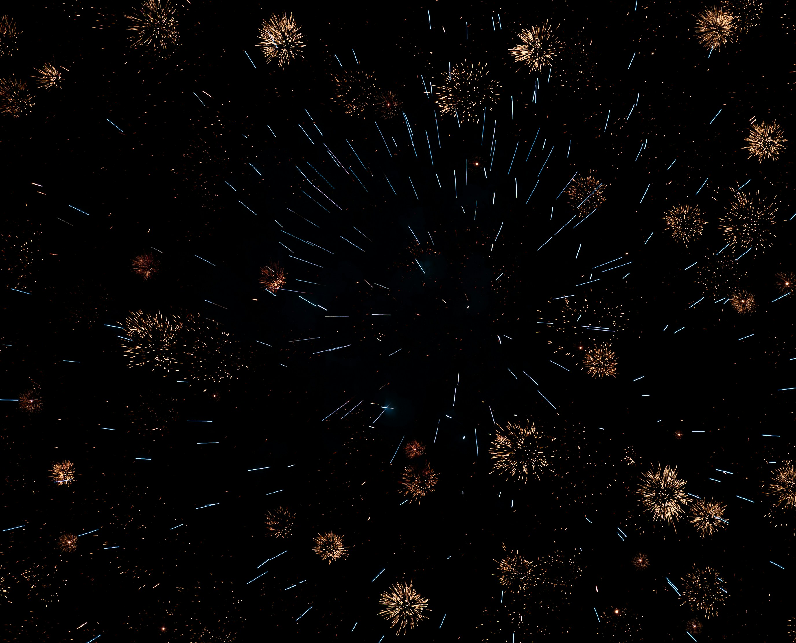 Firework Bloom Over a Night Sky