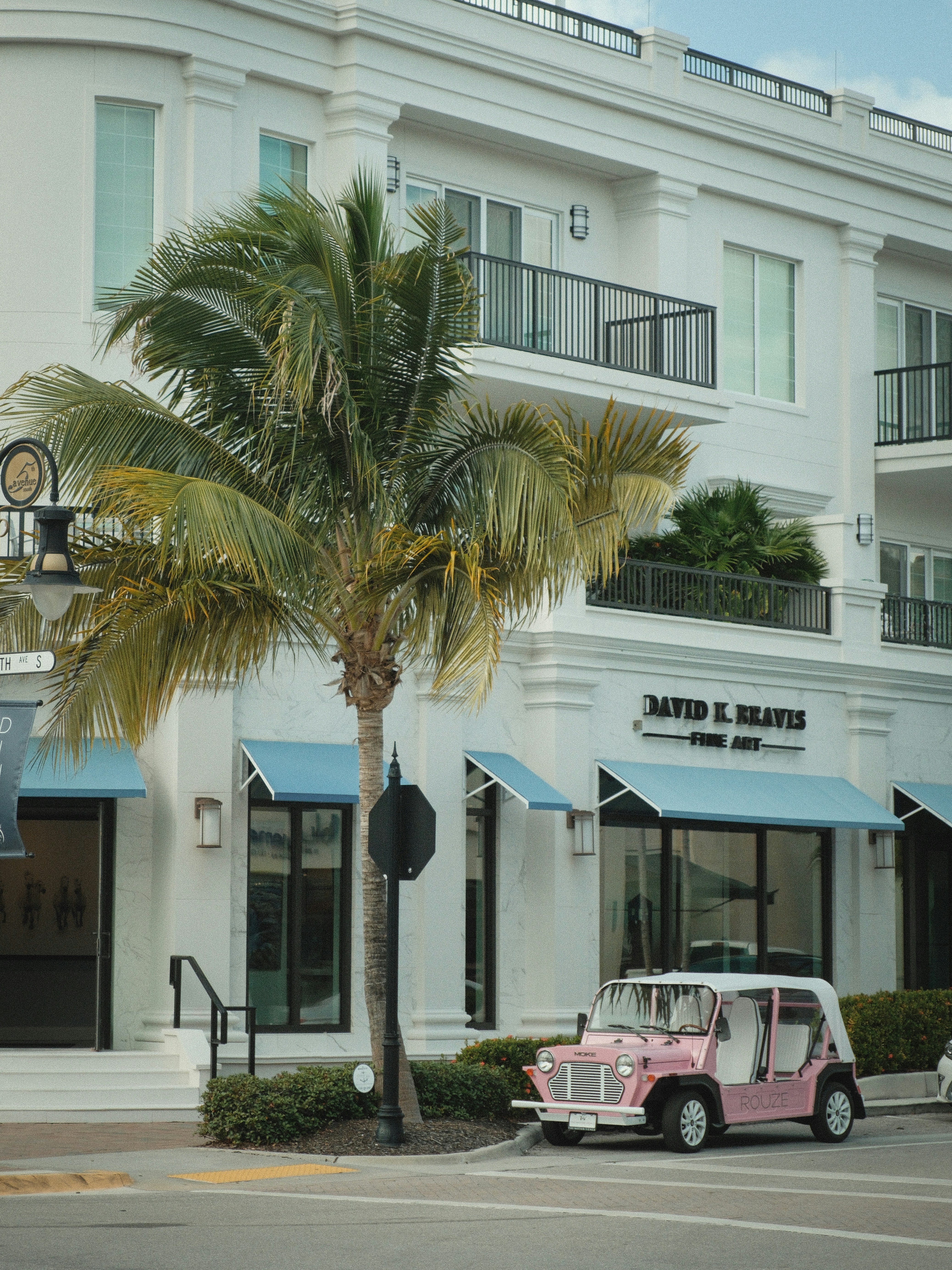 Palm-topped Streetfront: A Pink Convertible Halts by a Coastal Boutique
