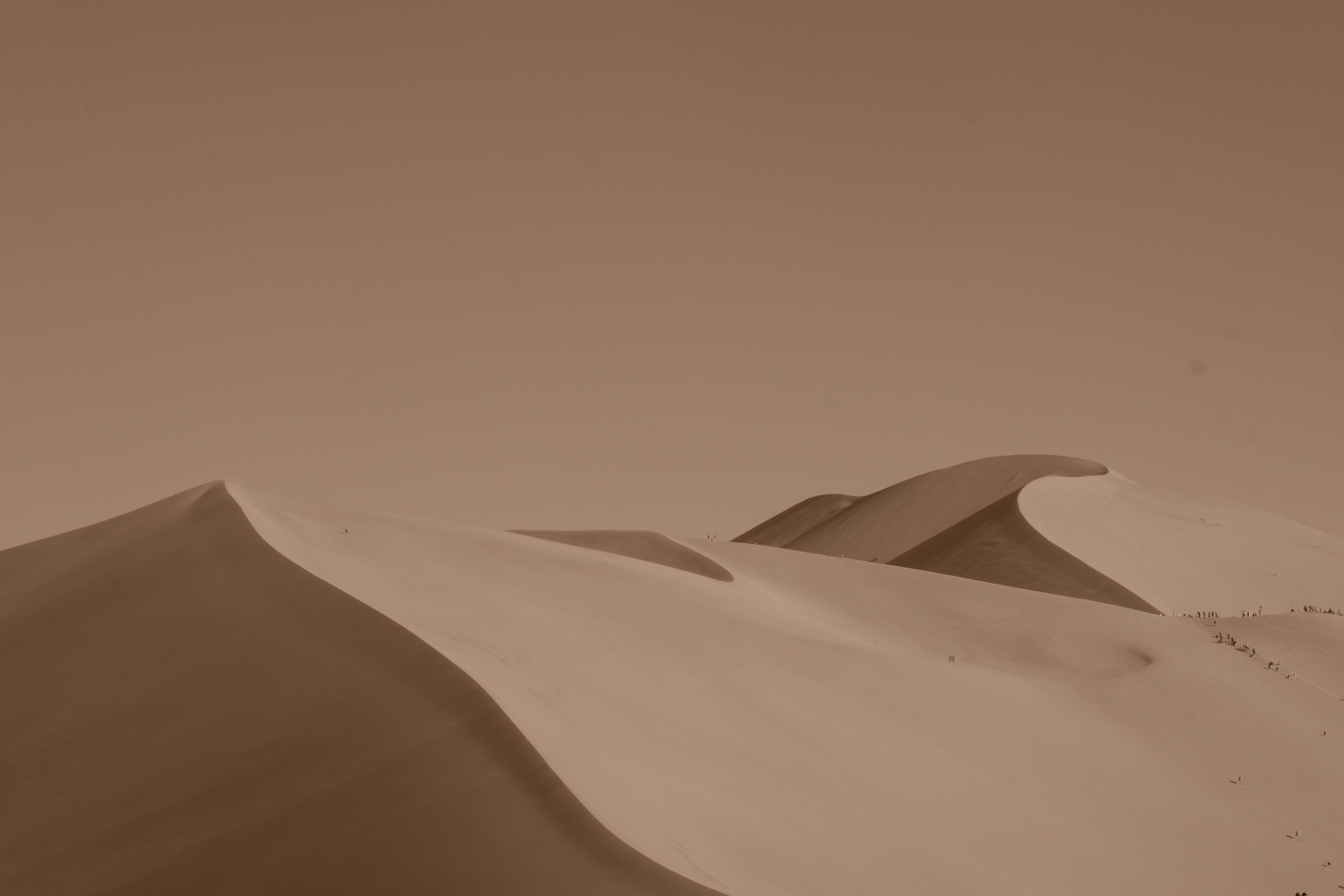 Quiet Echoes of Dune: A Sepia Horizon