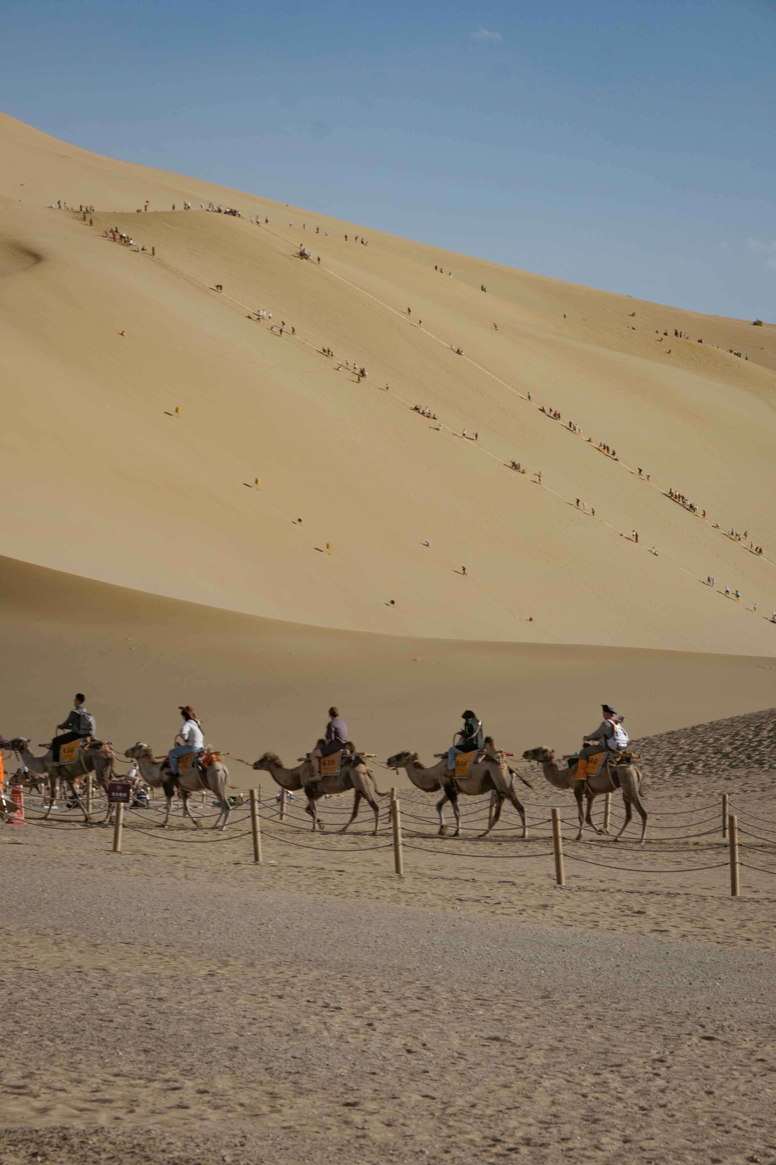 Caravan of Dunes: Riders Treading a Velvet Canyon