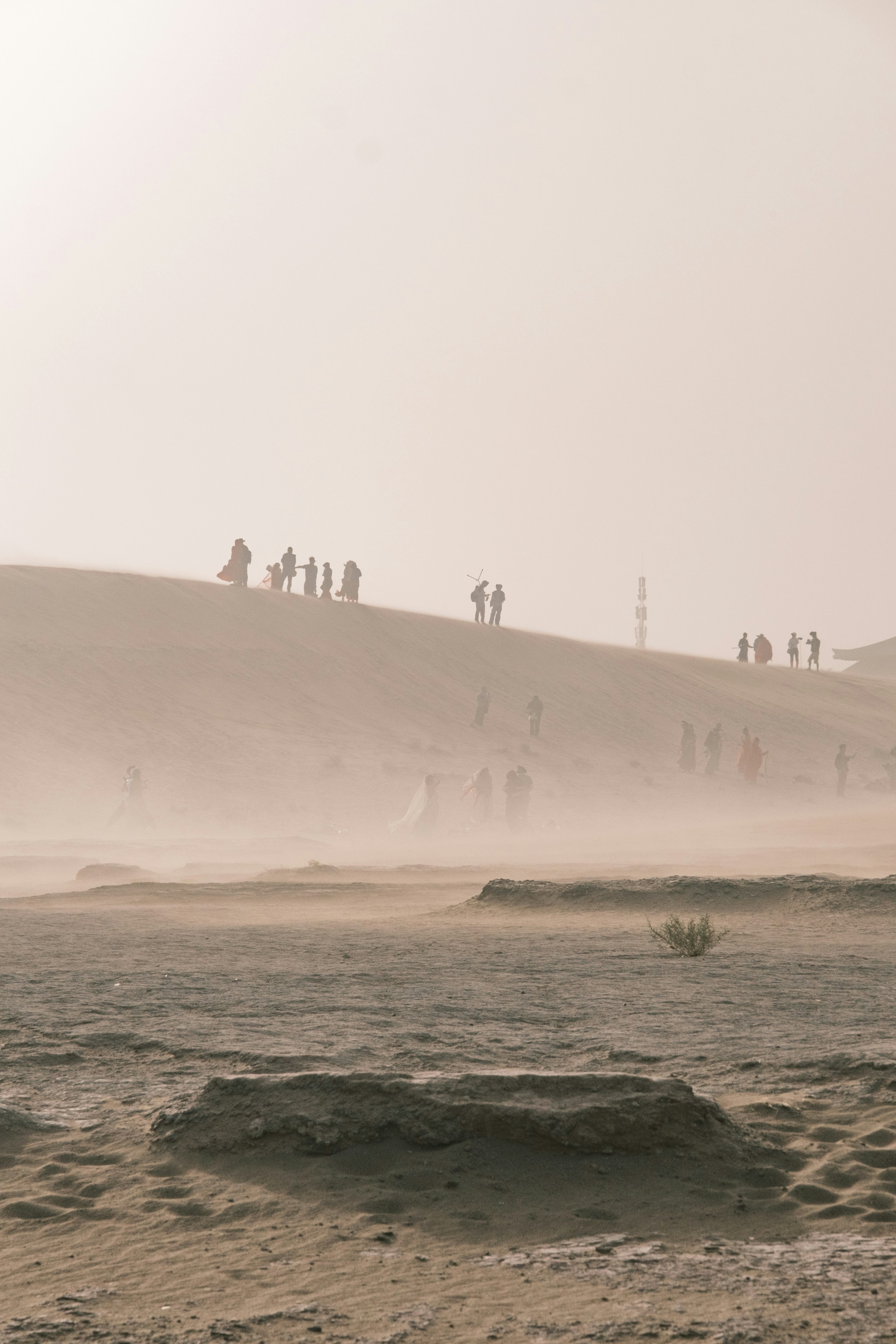 Dune Summit Silhouette: A Quiet Convergence on the Horizon