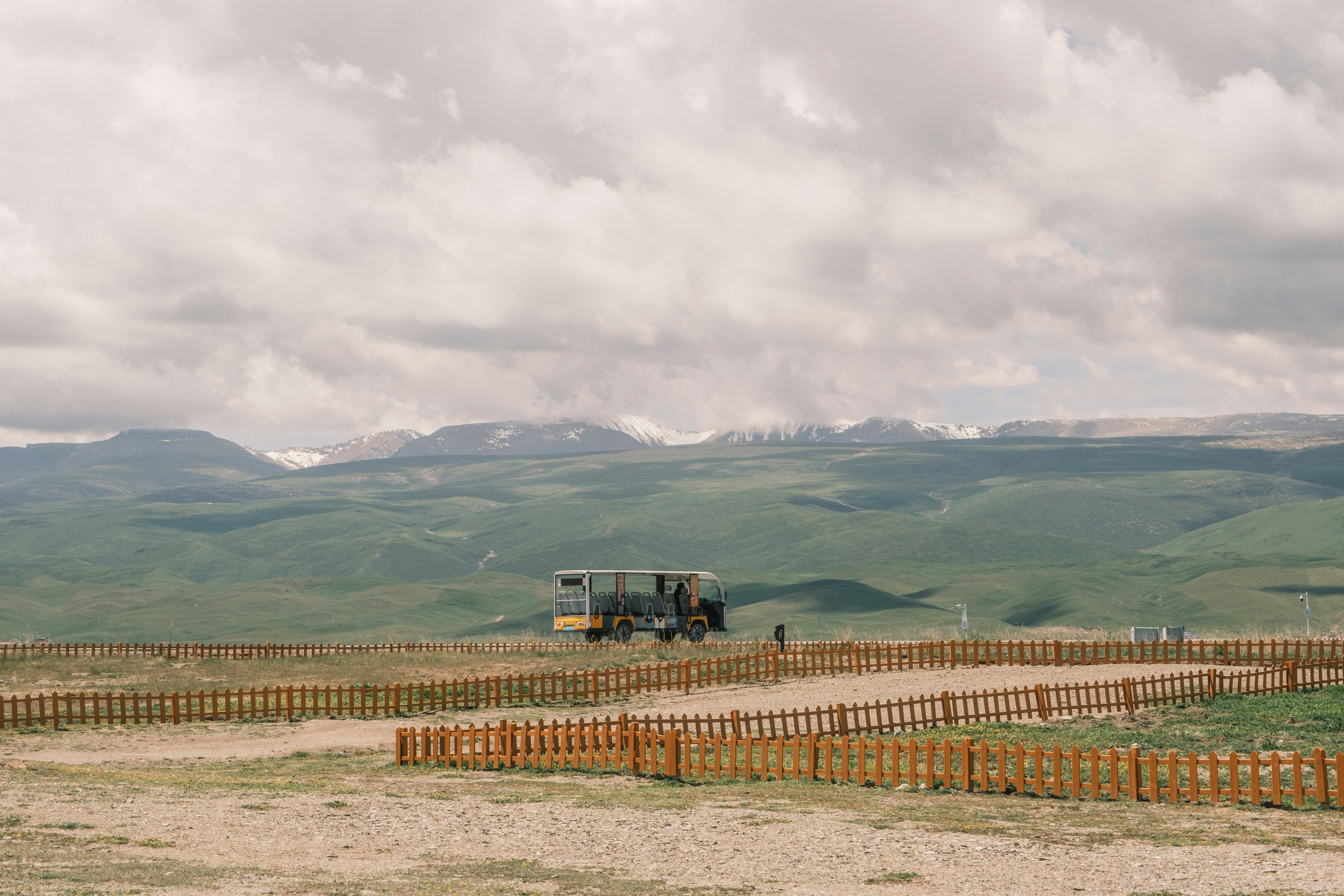 Bus on a Distant Horizon: A Quiet Grassland Crossing