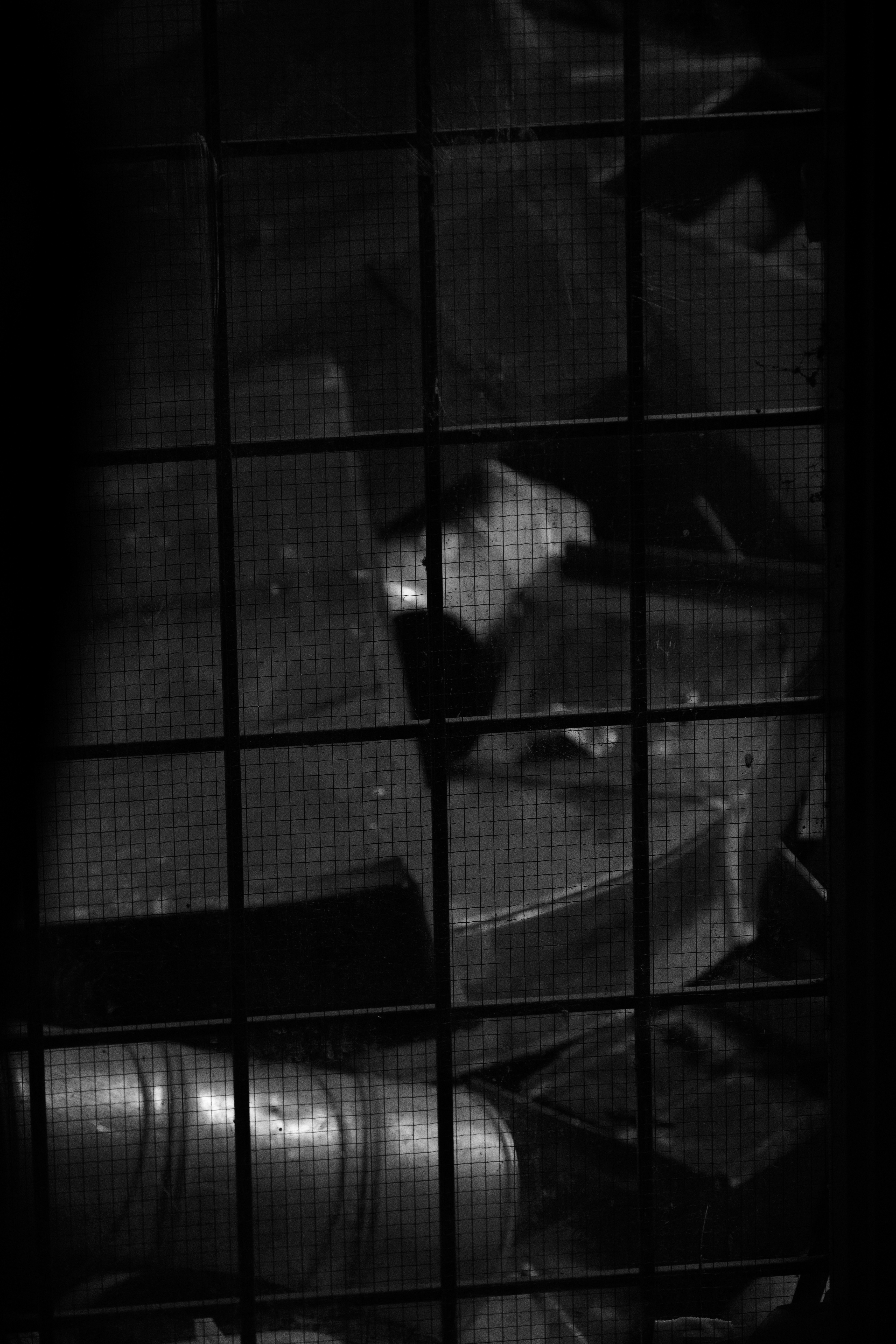 Shadows Behind the Grid: A Quiet Industrial Interior