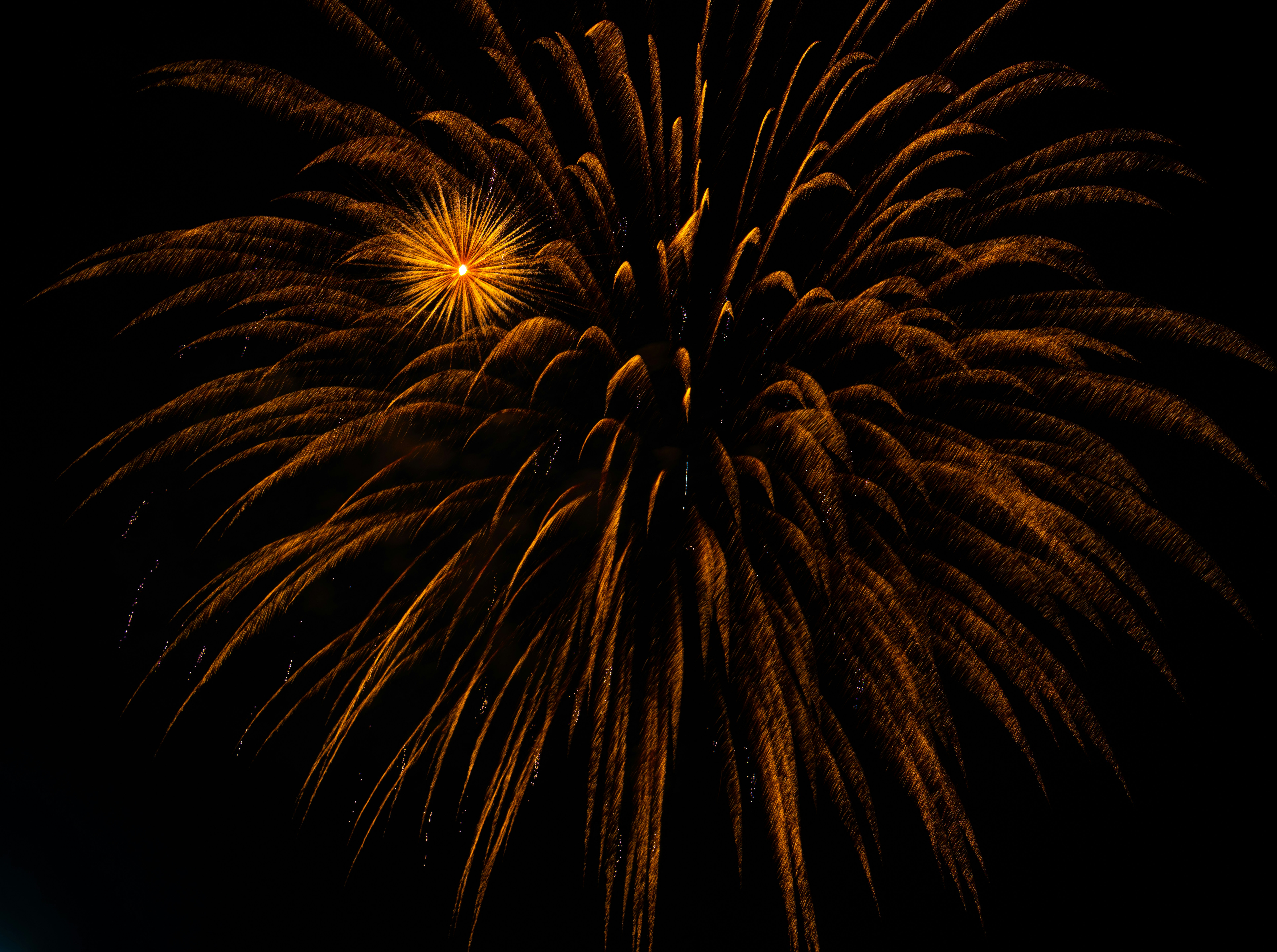 Vivid golden firework bloom against a dark sky, with a smaller flare near the left-center serving as the focal spark.