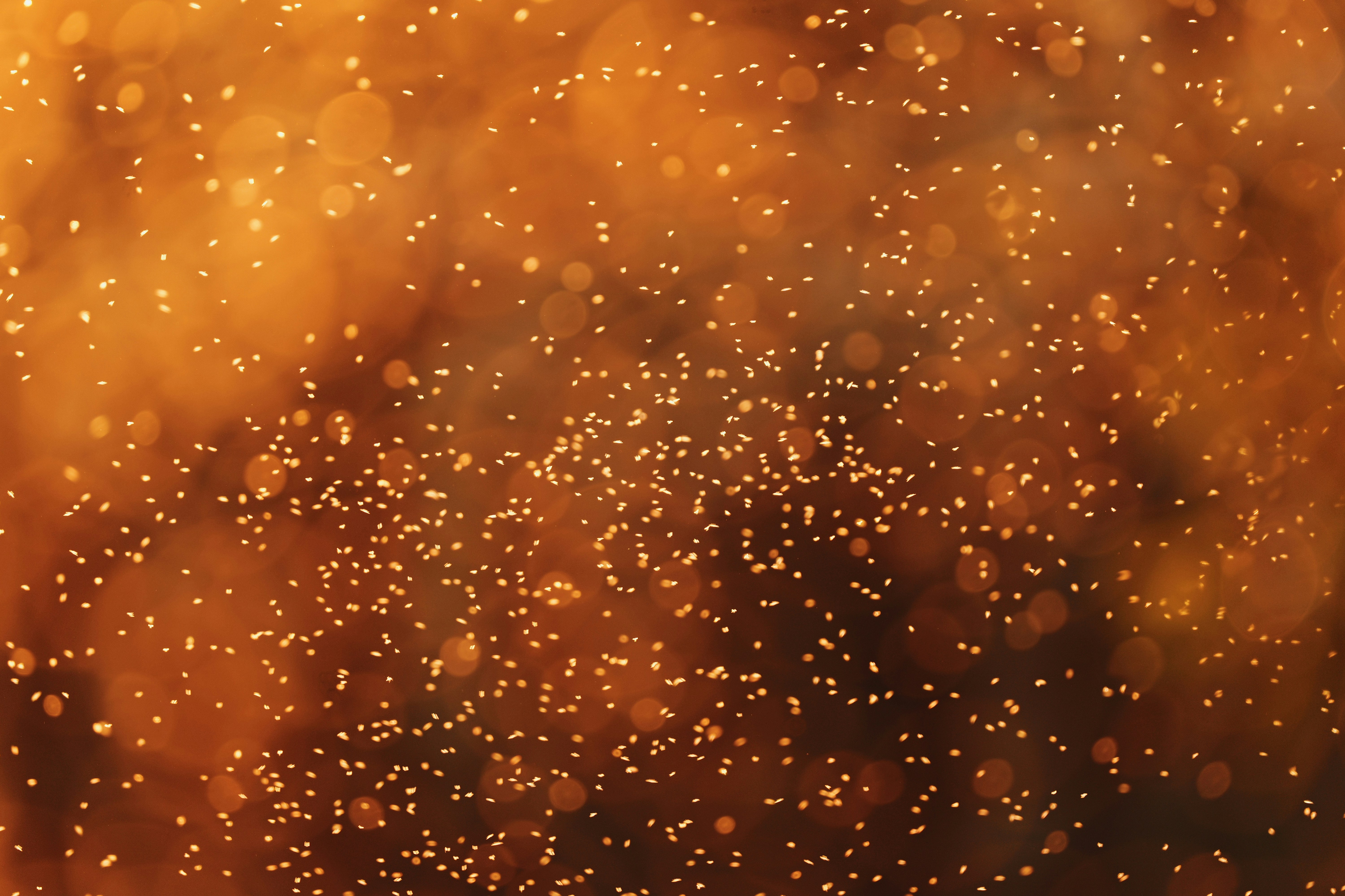 Amber Sparkle Nebula: a field of golden orbs in motion