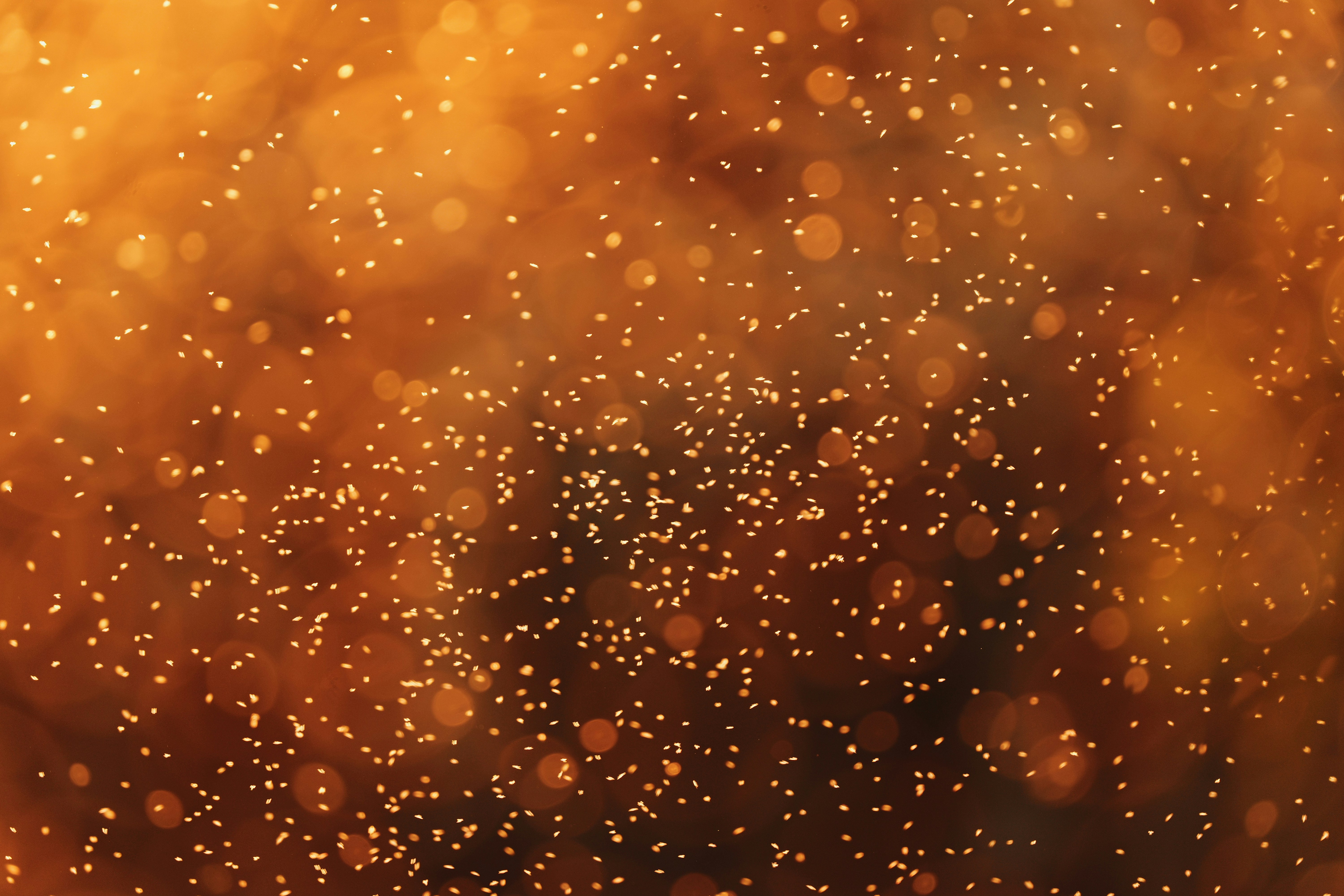 Amber Sparks: Macro Orbs in a Golden Haze