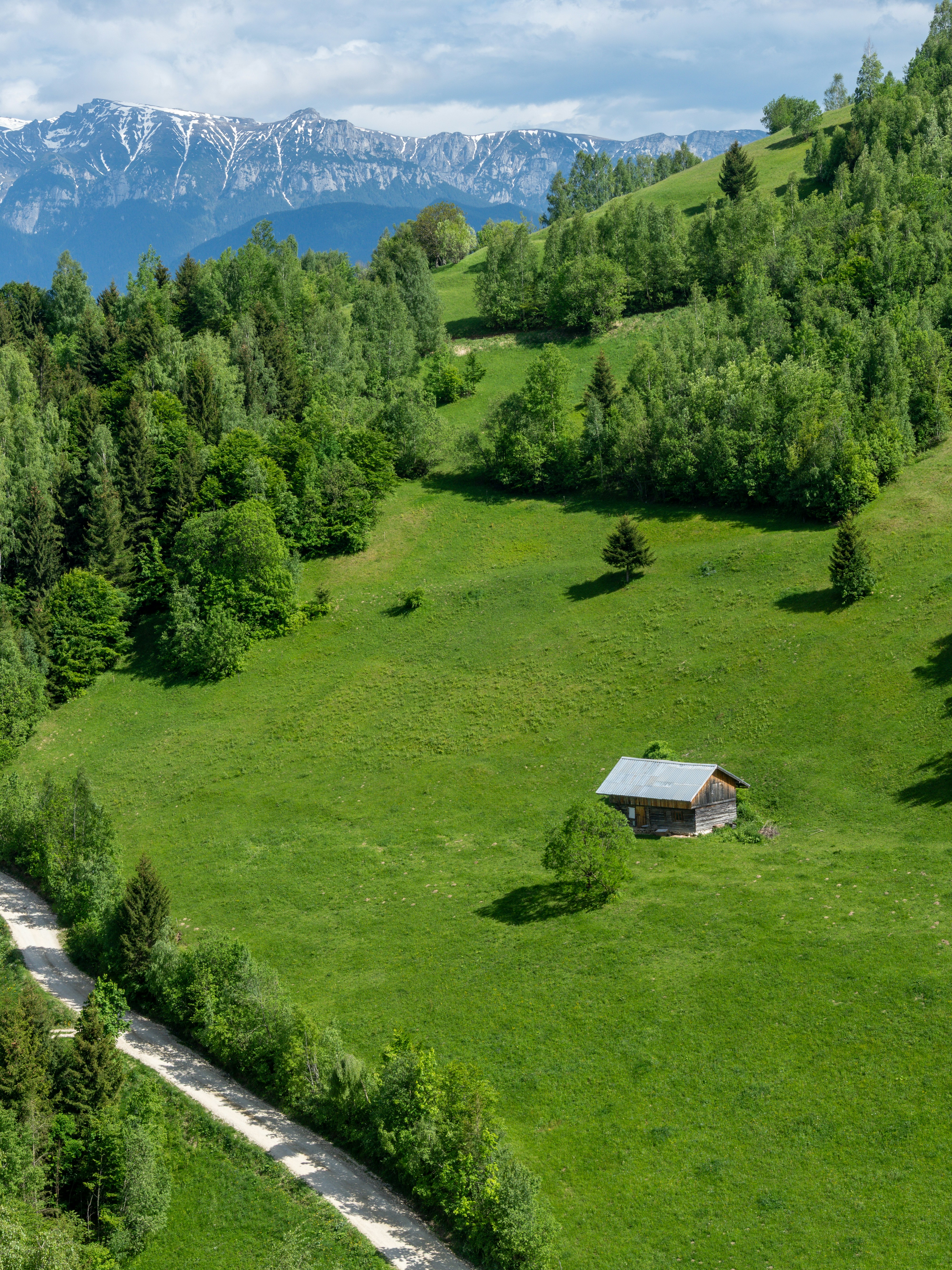 A Rolling Clearing and a Quiet Cabin Under Alpine Pines