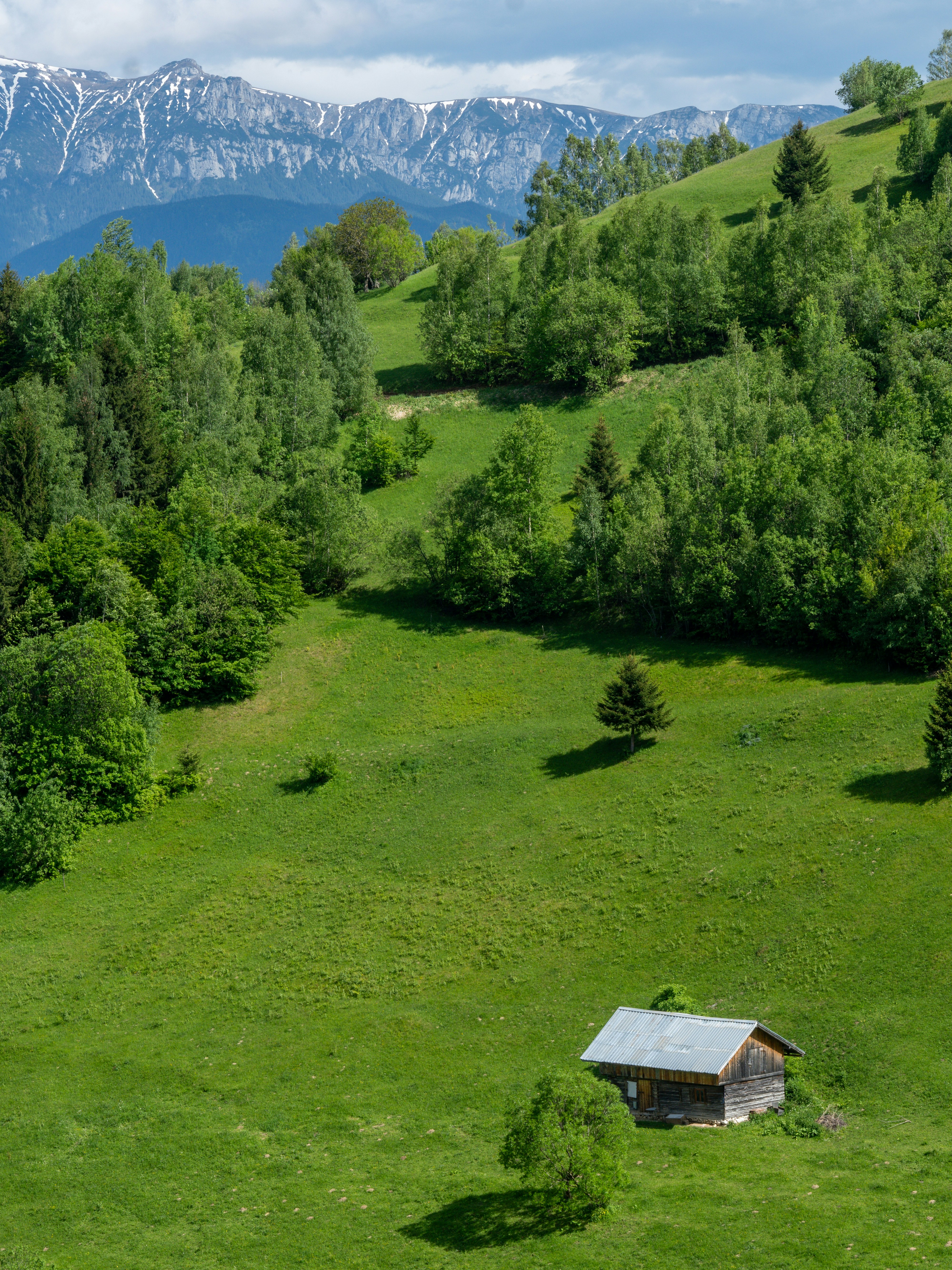 Sunny Alpine Meadow with A-frame Cabin at the foothills