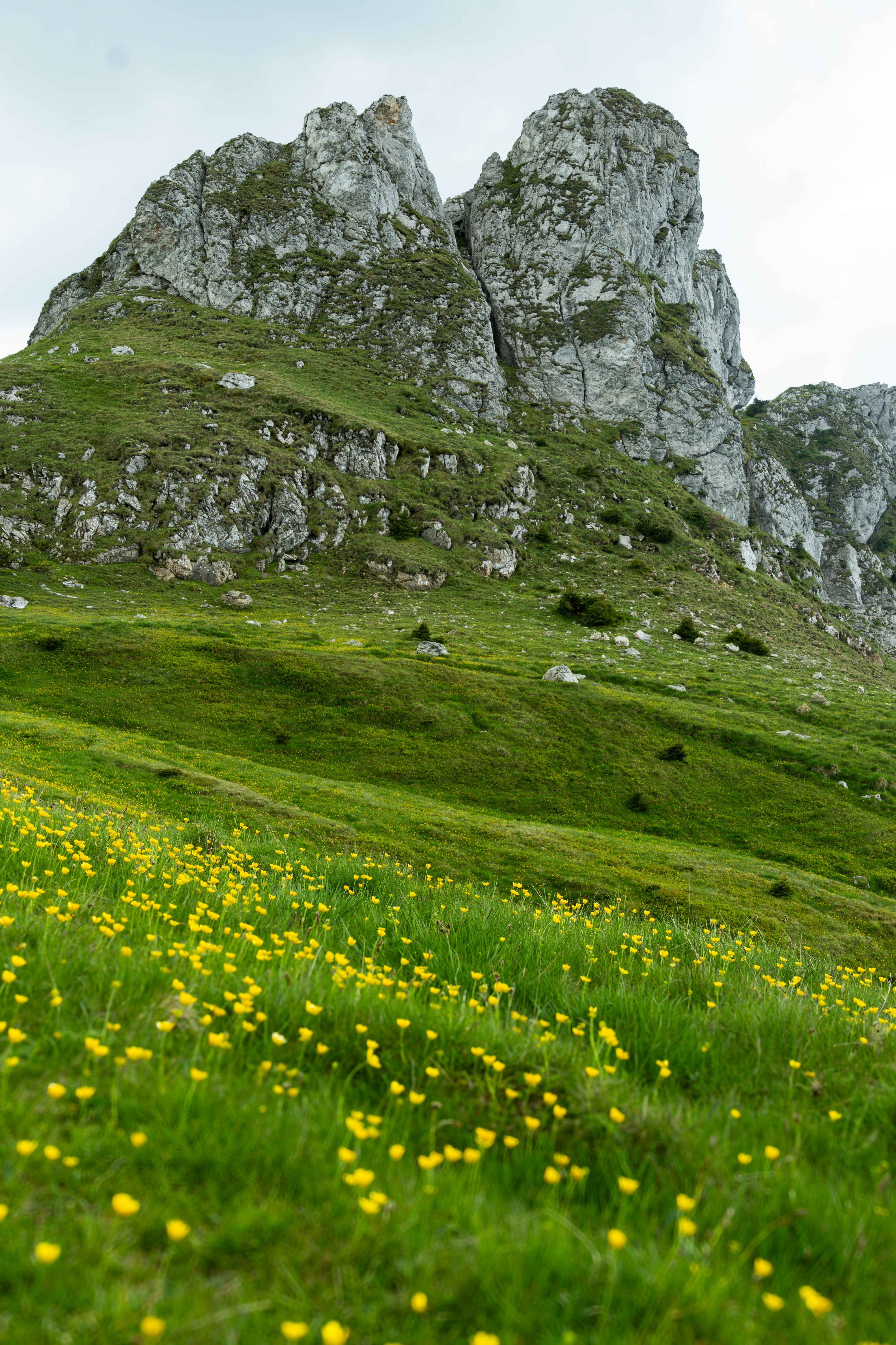 Green Slopes Meet the Grey Peaks