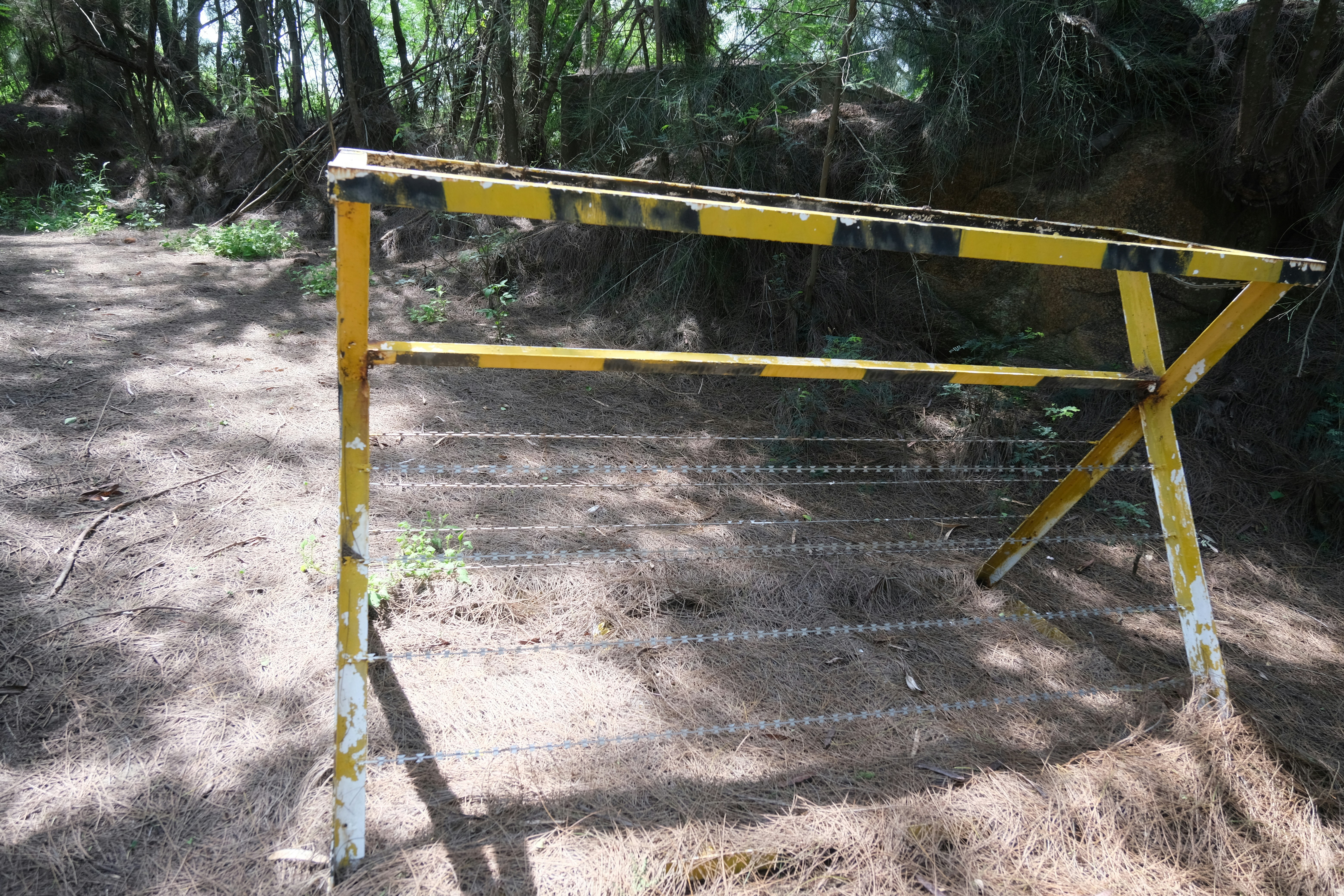 A Weathered Chain-Link Gate Stretches Across a Parched Clearing