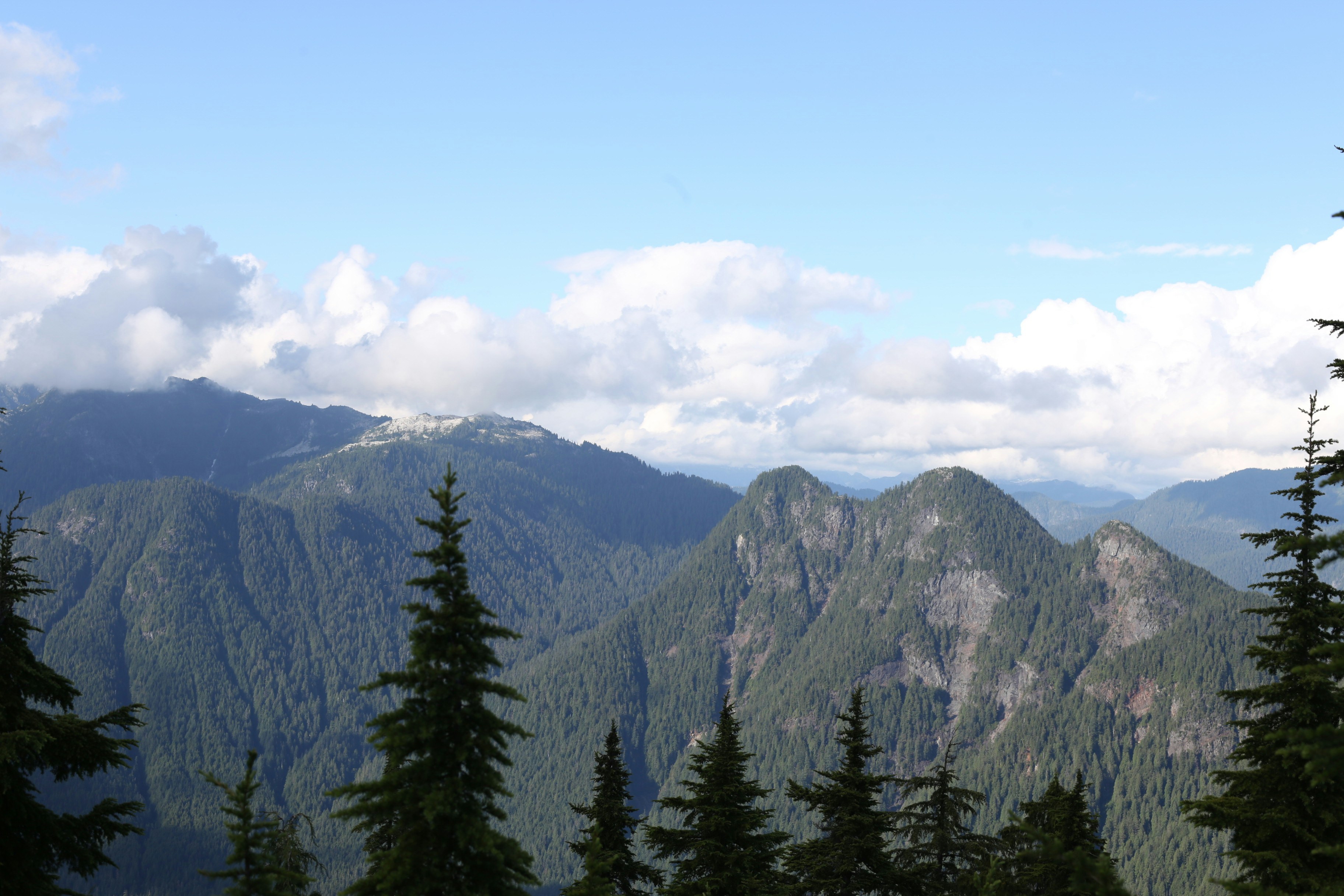 Dawn Between Peaks: A Vista of Pine silhouettes and distant summits