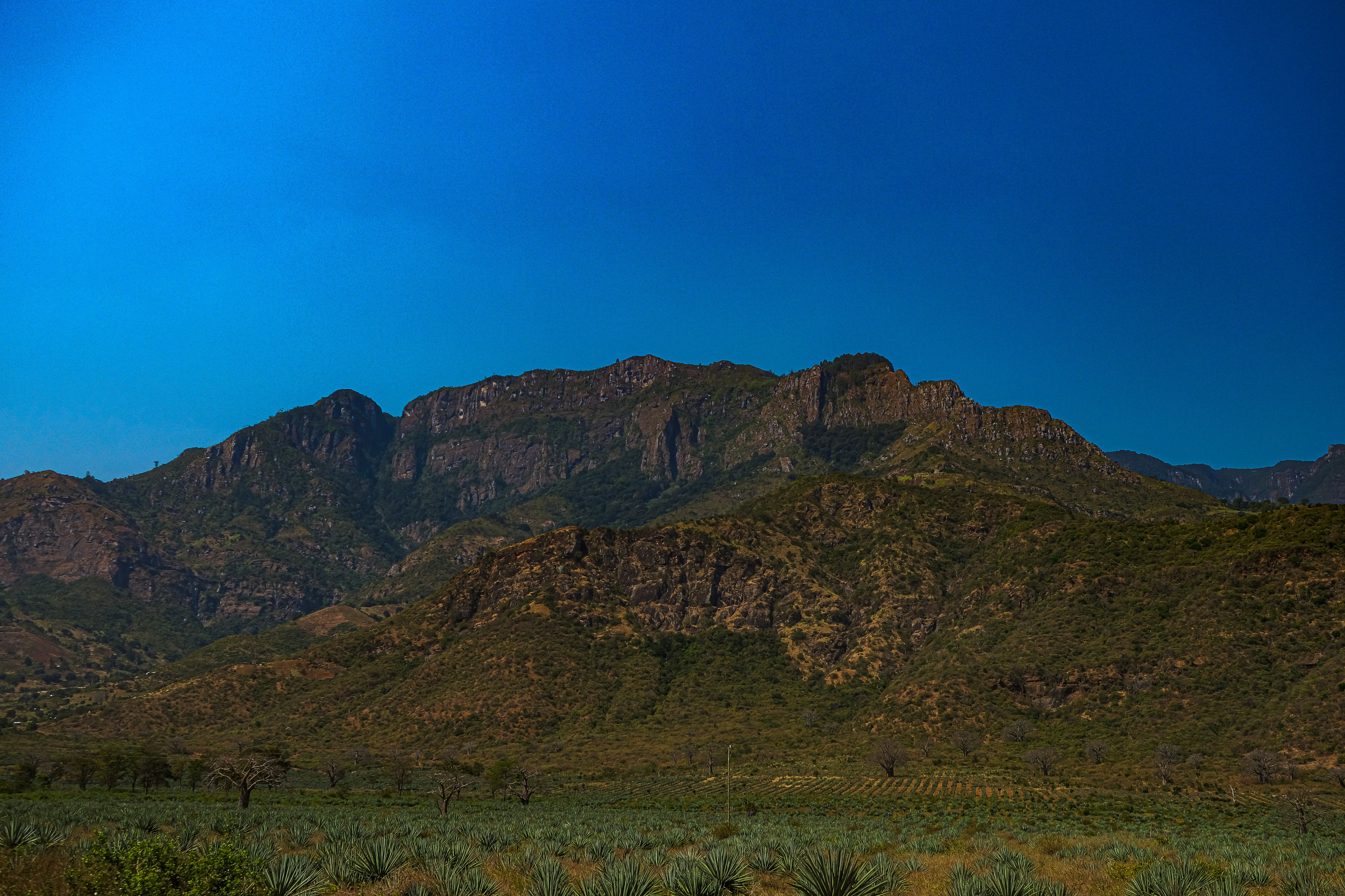 Desert Ridge Under a Clear Indigo Sky