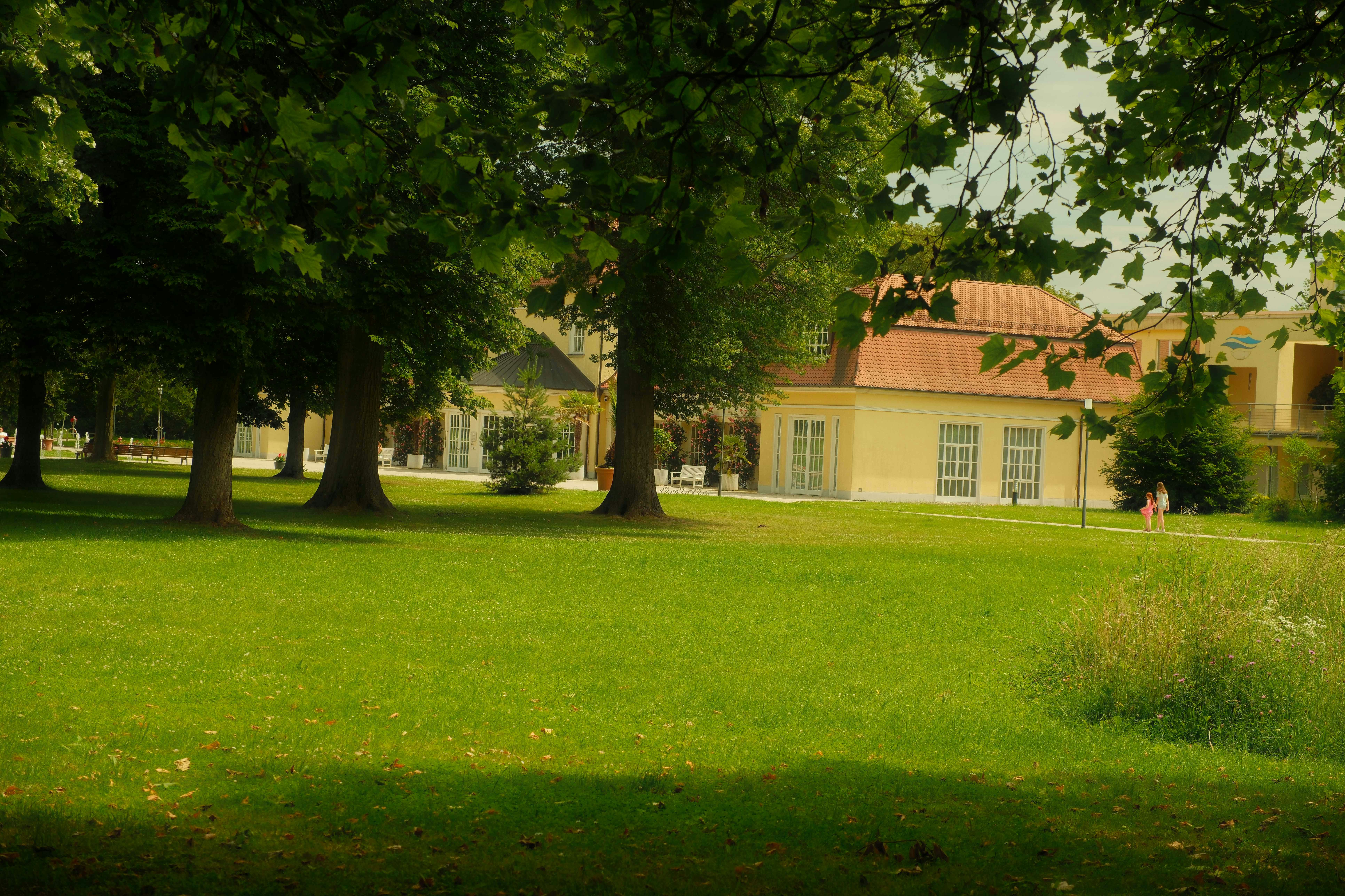 Sunlit Campus Green with Yawning Trees and Yellow Winged Buildings