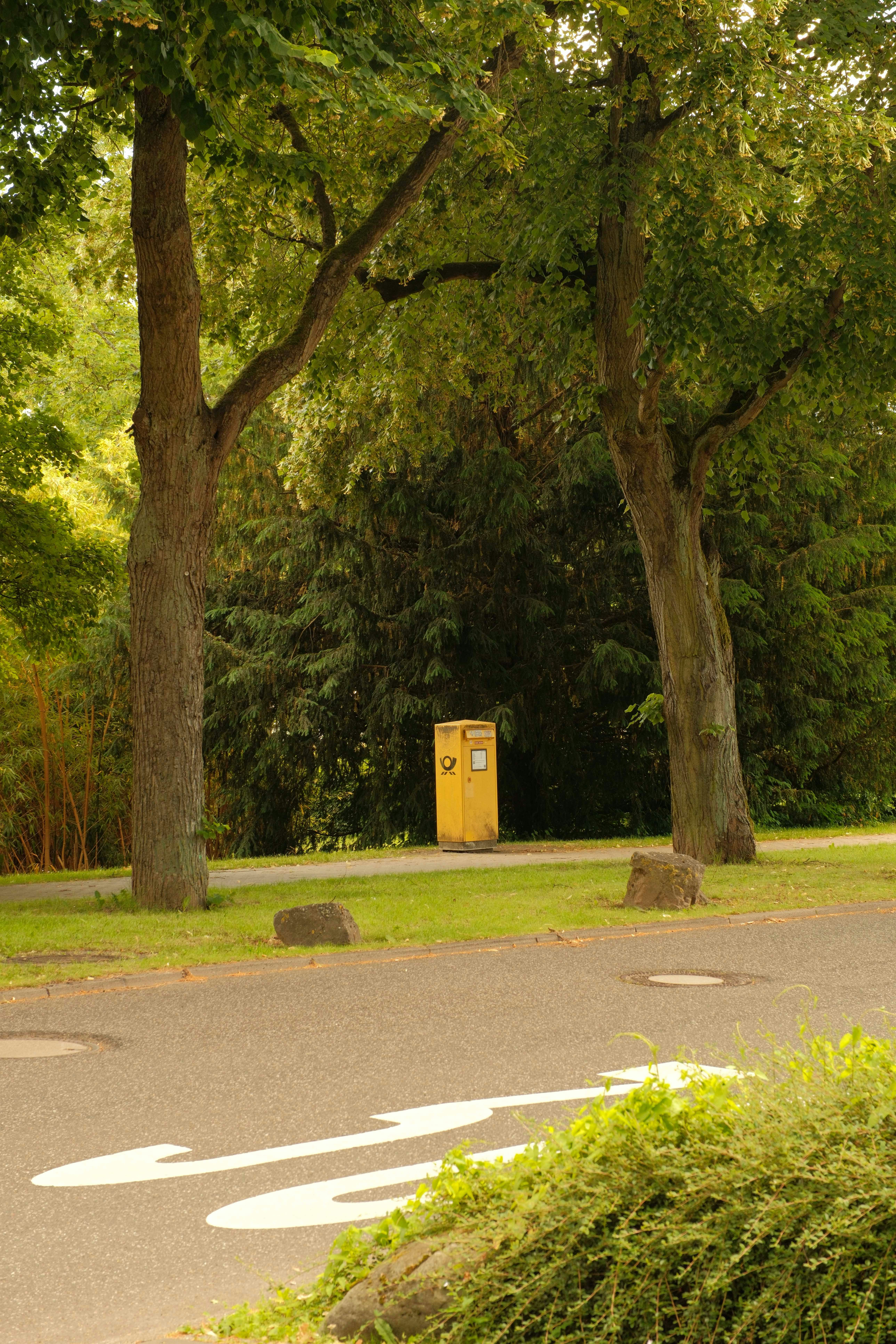 Yellow kiosk among garden trees by a quiet road