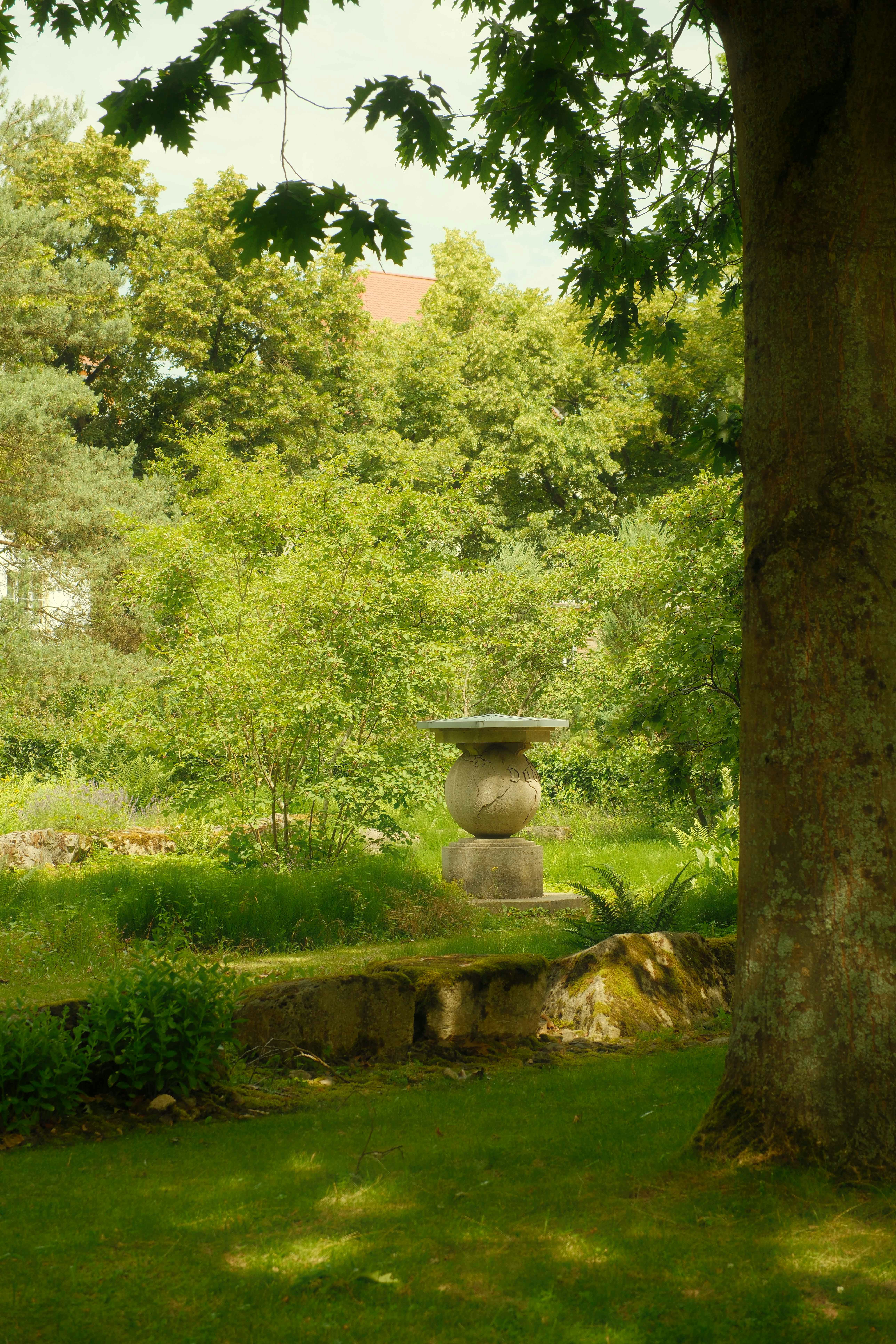 Stone Garden Lantern Framed by a Shaded Tree