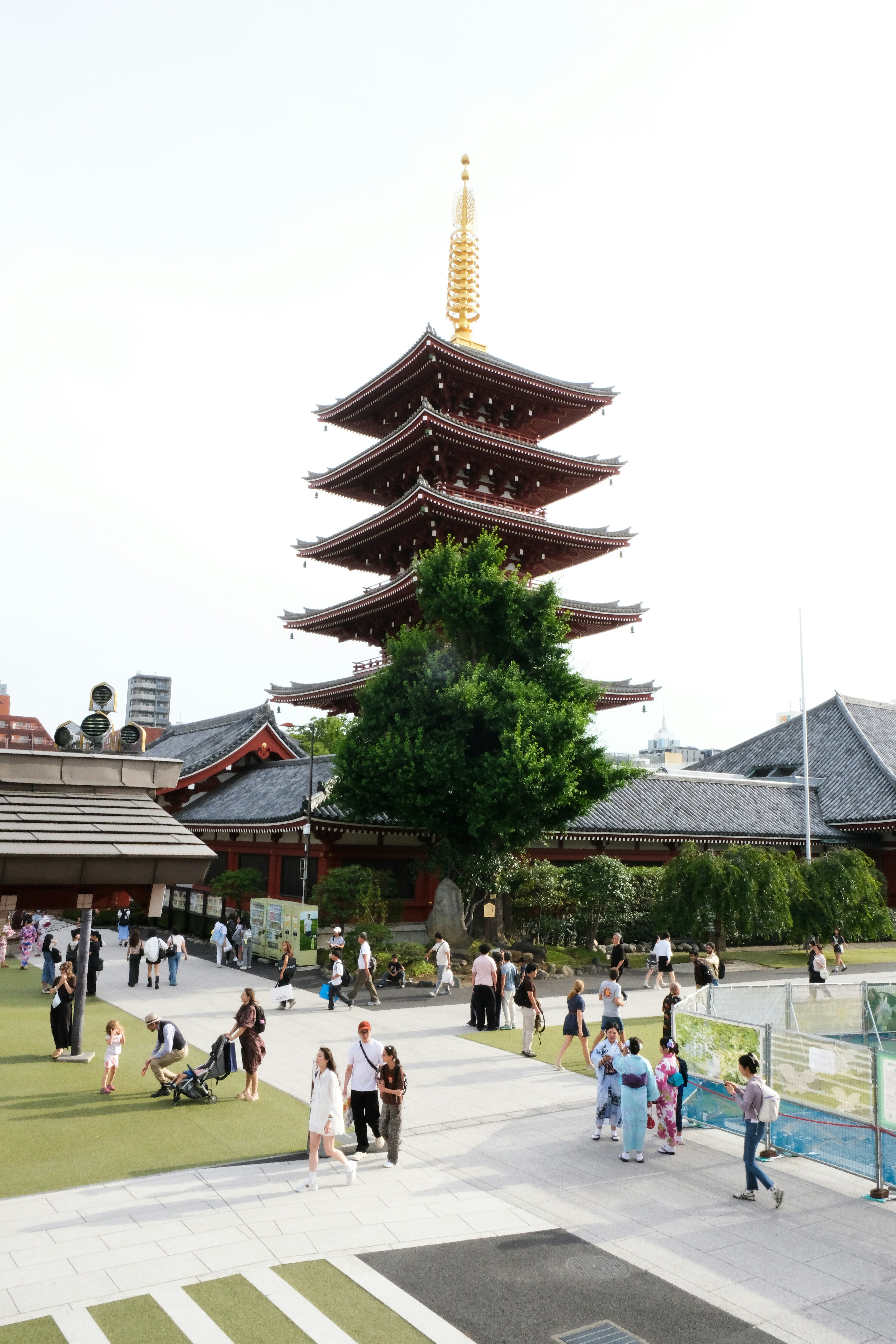 Five-Tiered Pagoda Rising Over the Shibuya Courtyard