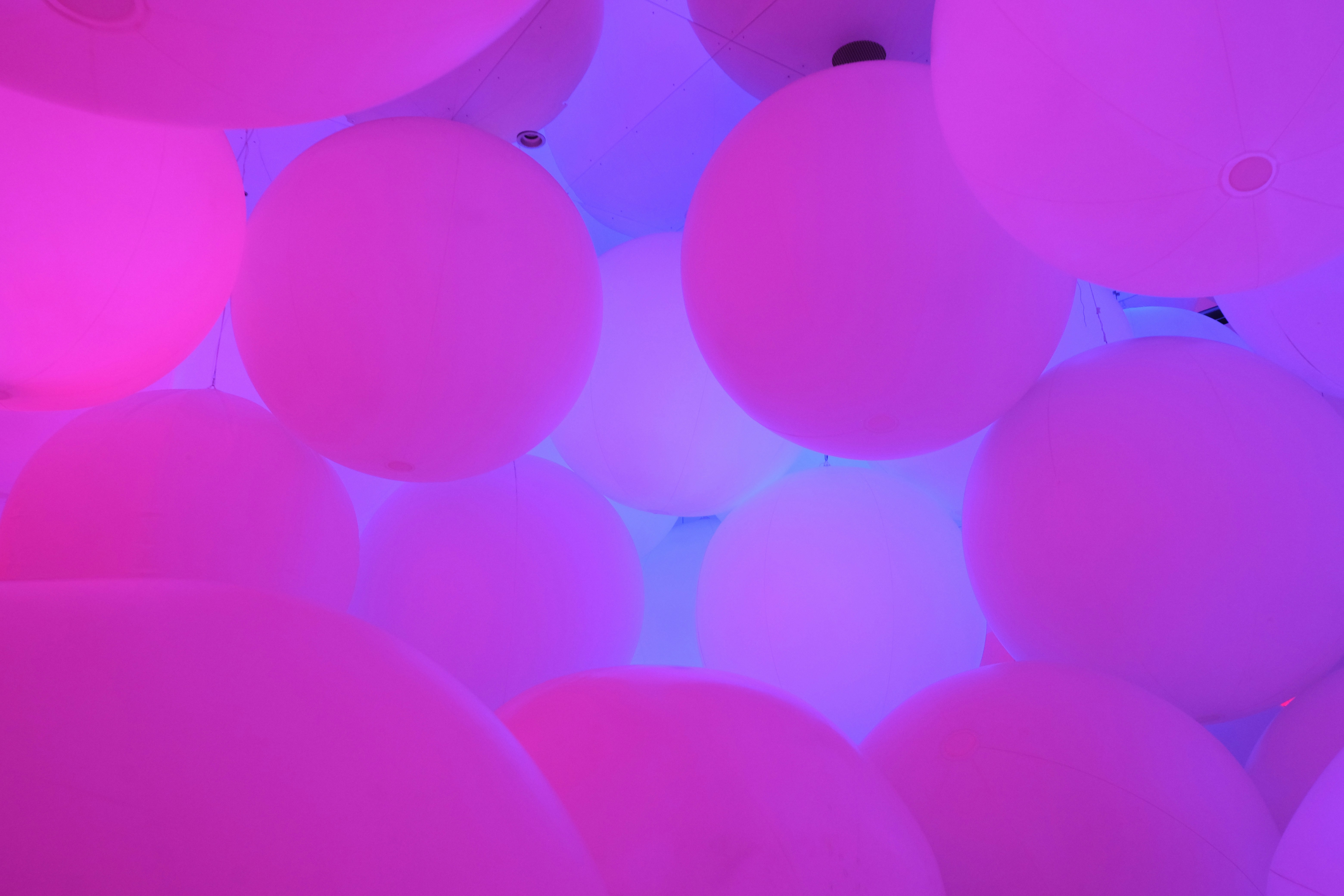 Bubble Constellation: Neon-Pink Orbs in a Soft Glow