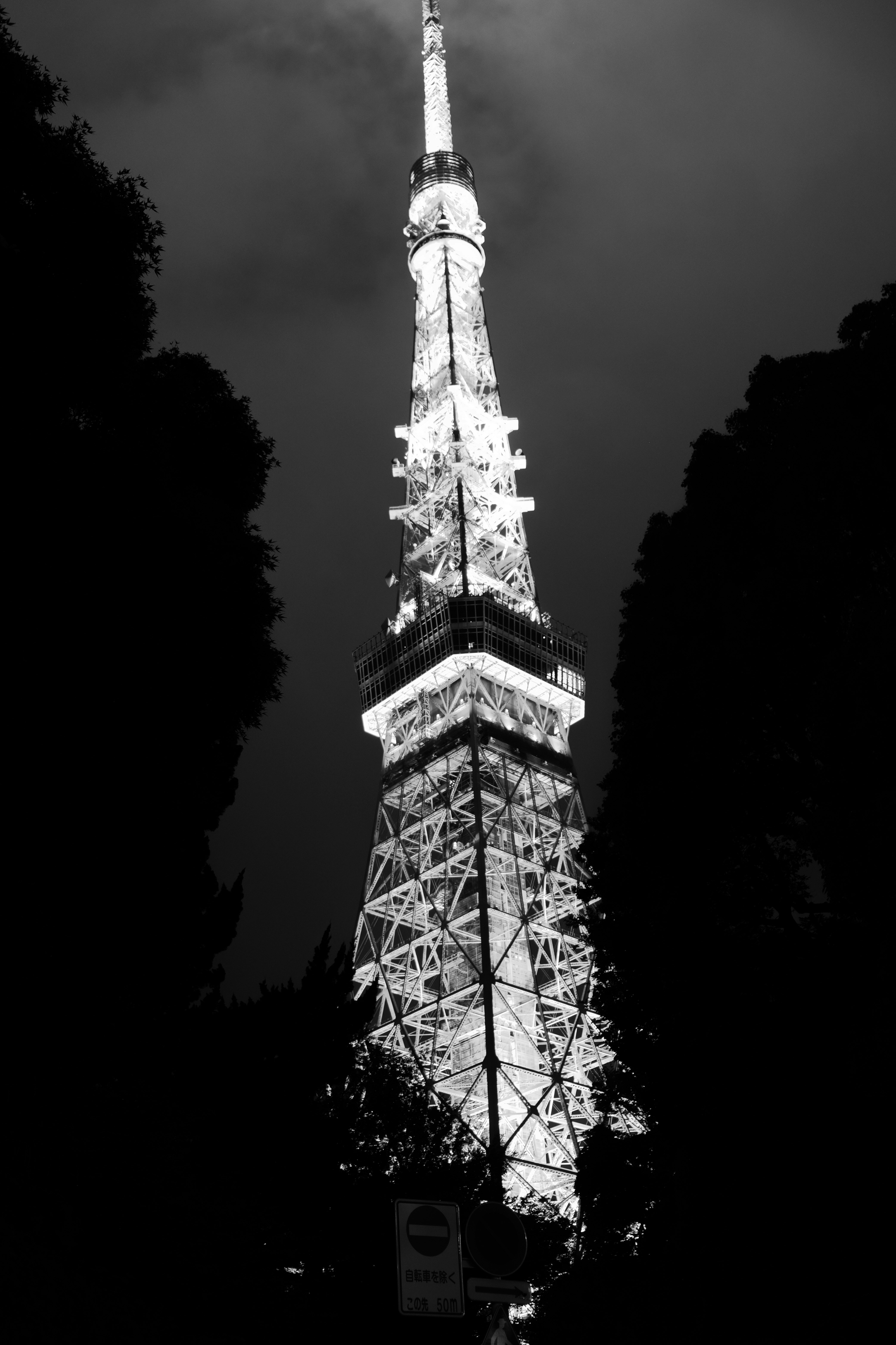 Tower in the Night: A Monochrome Climb Above the Trees
