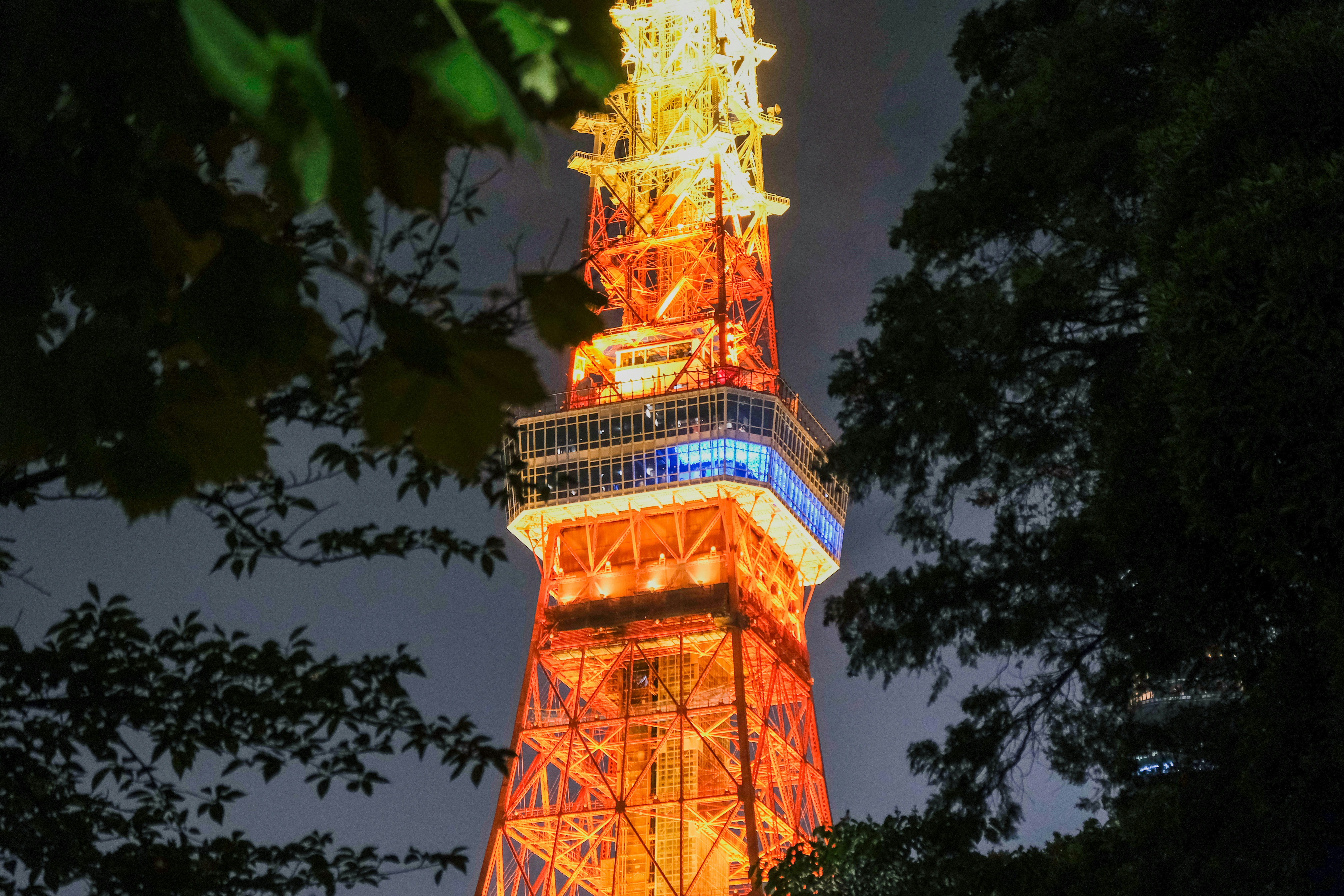 Tokyo Tower Illuminated: Steel Lattice in Nightfall