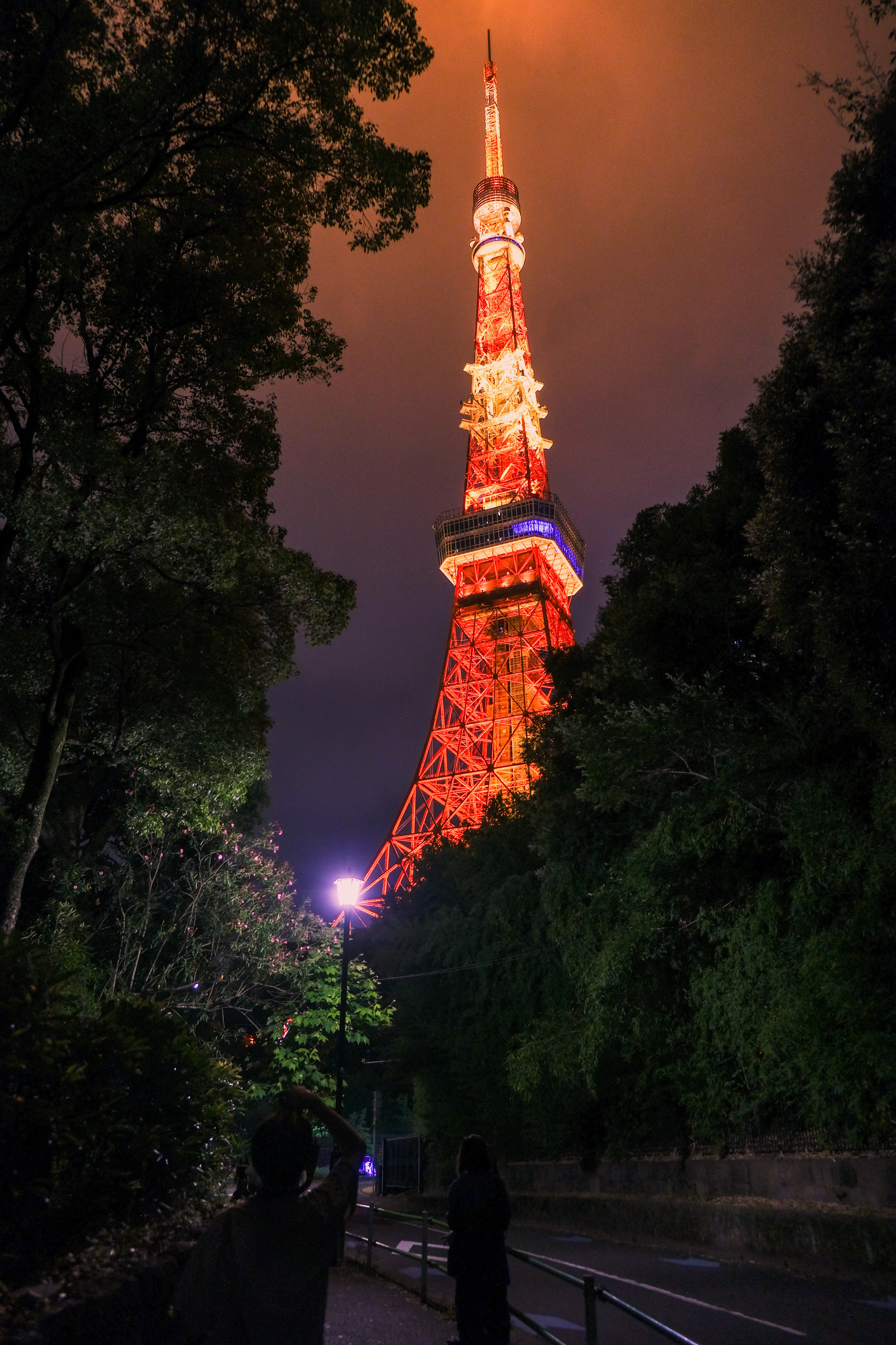 Tokyo Tower at Nightfall: Neon Lace Between Shadowed Pines