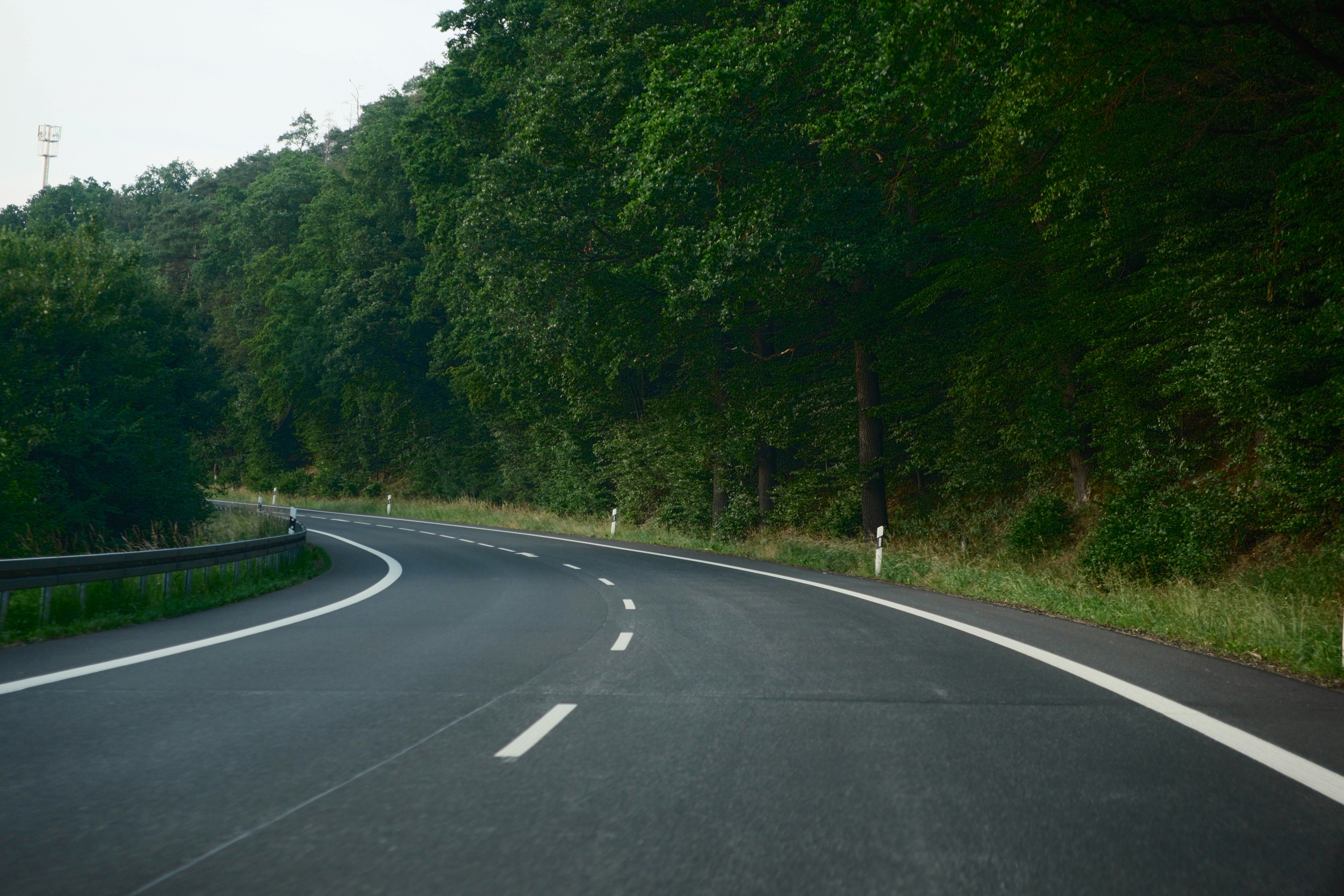 Curve in the Forest: The Quiet Highway Bends Toward the Woods