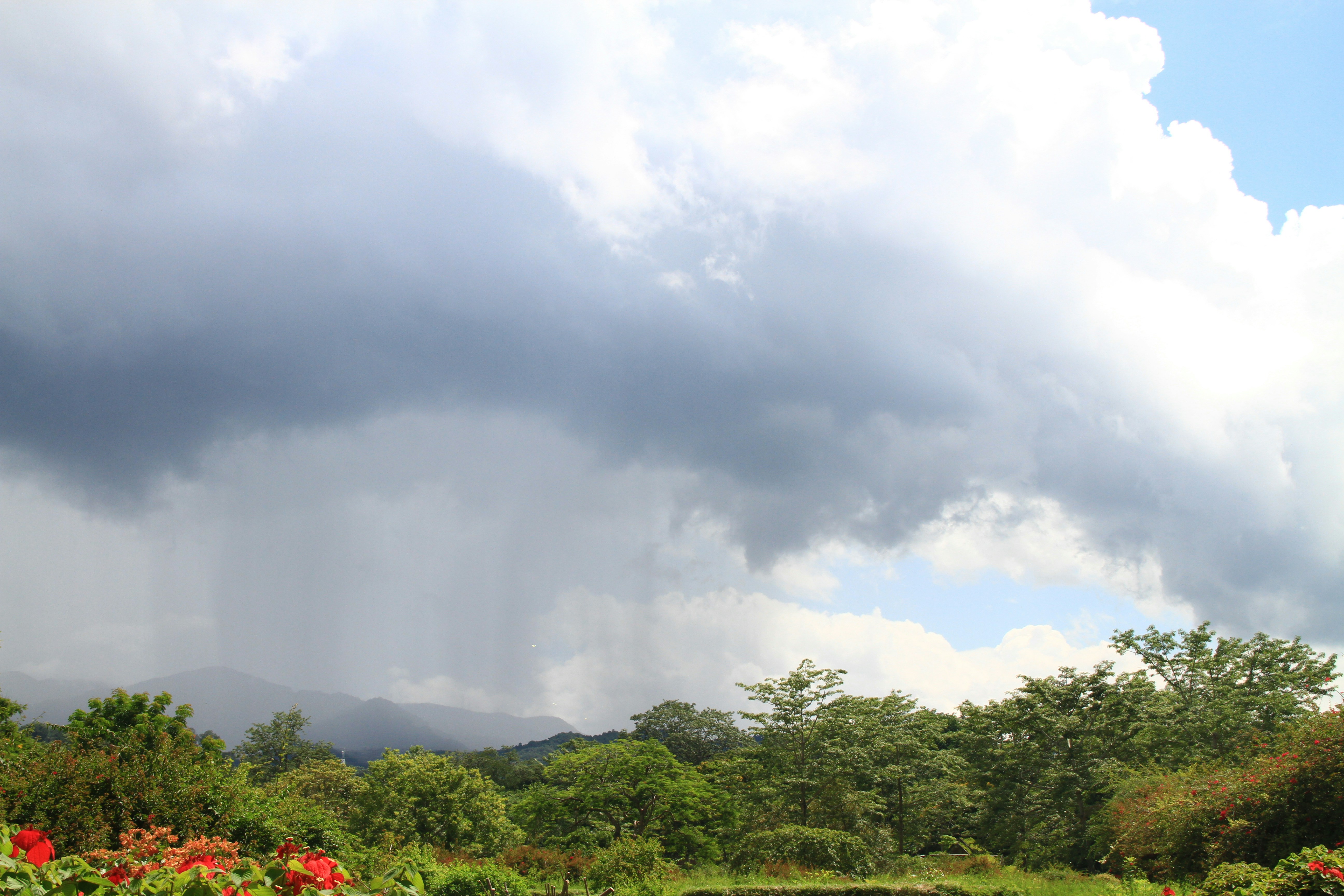 Storm Looms Over a Quiet Garden Horizon