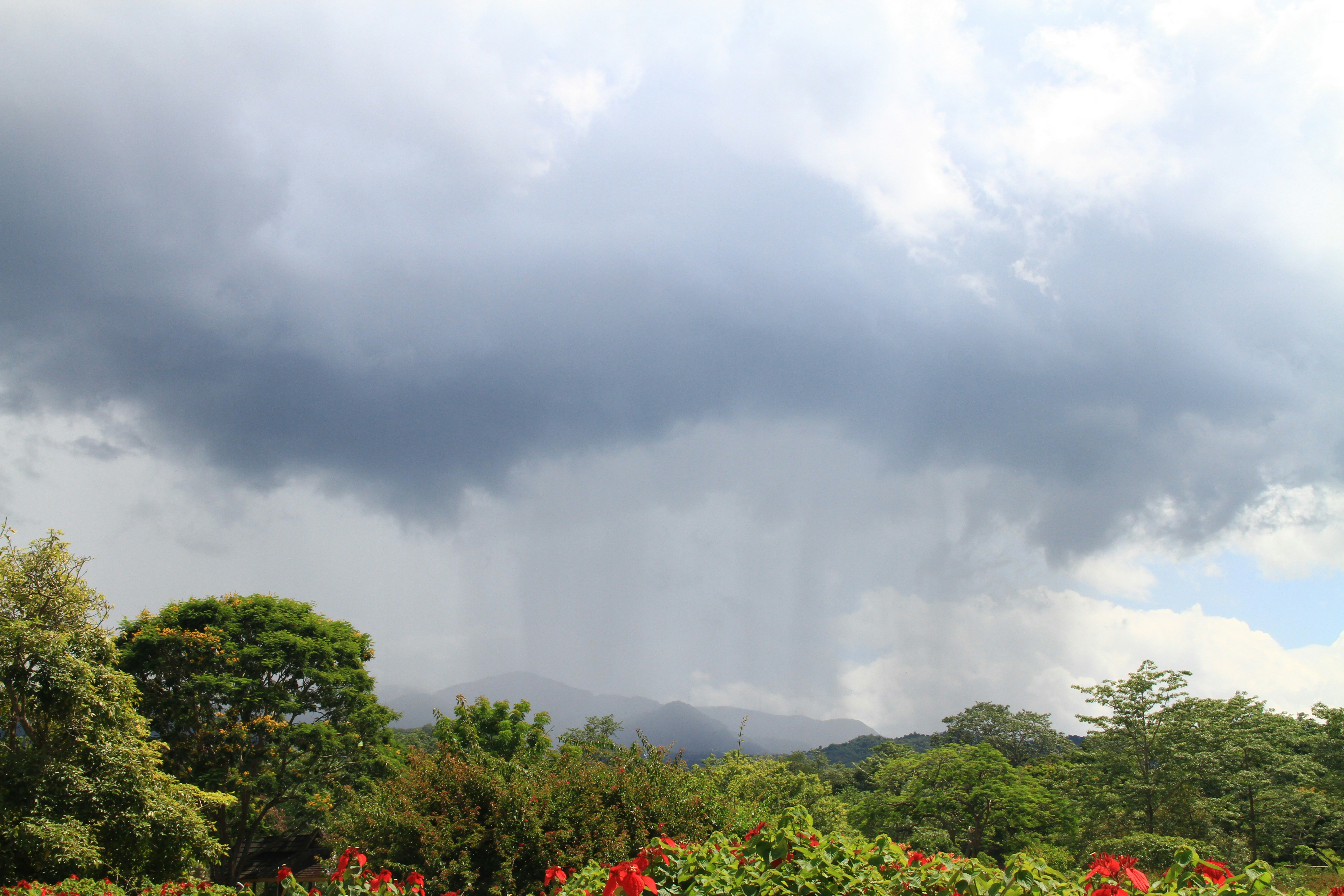 Storm over the Garden: A Quiet Field under Dark Clouds