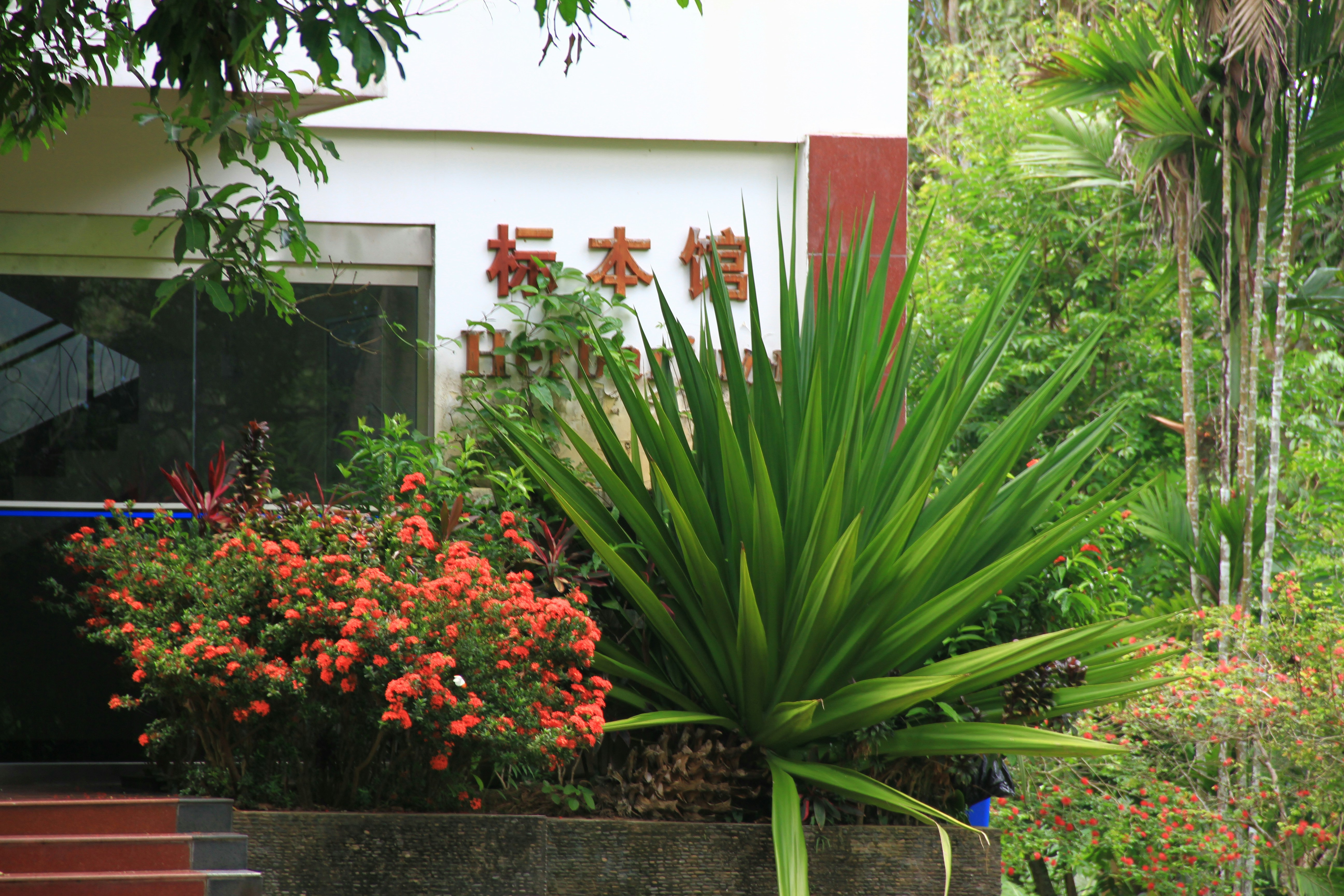 Lush Greenery Framing a Suburban Building