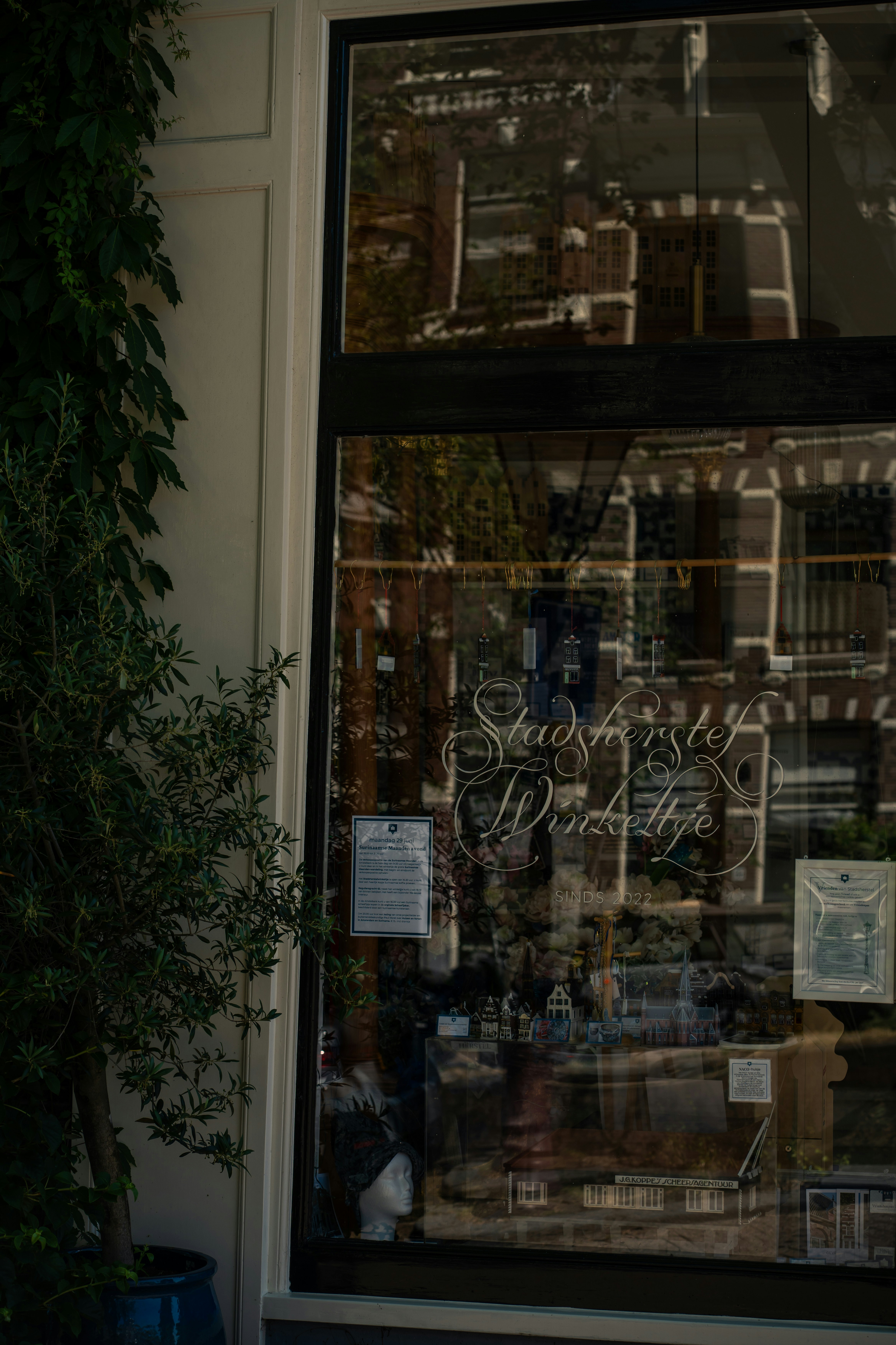 Storefront Window Echoes: Reflections and Verdant Framing