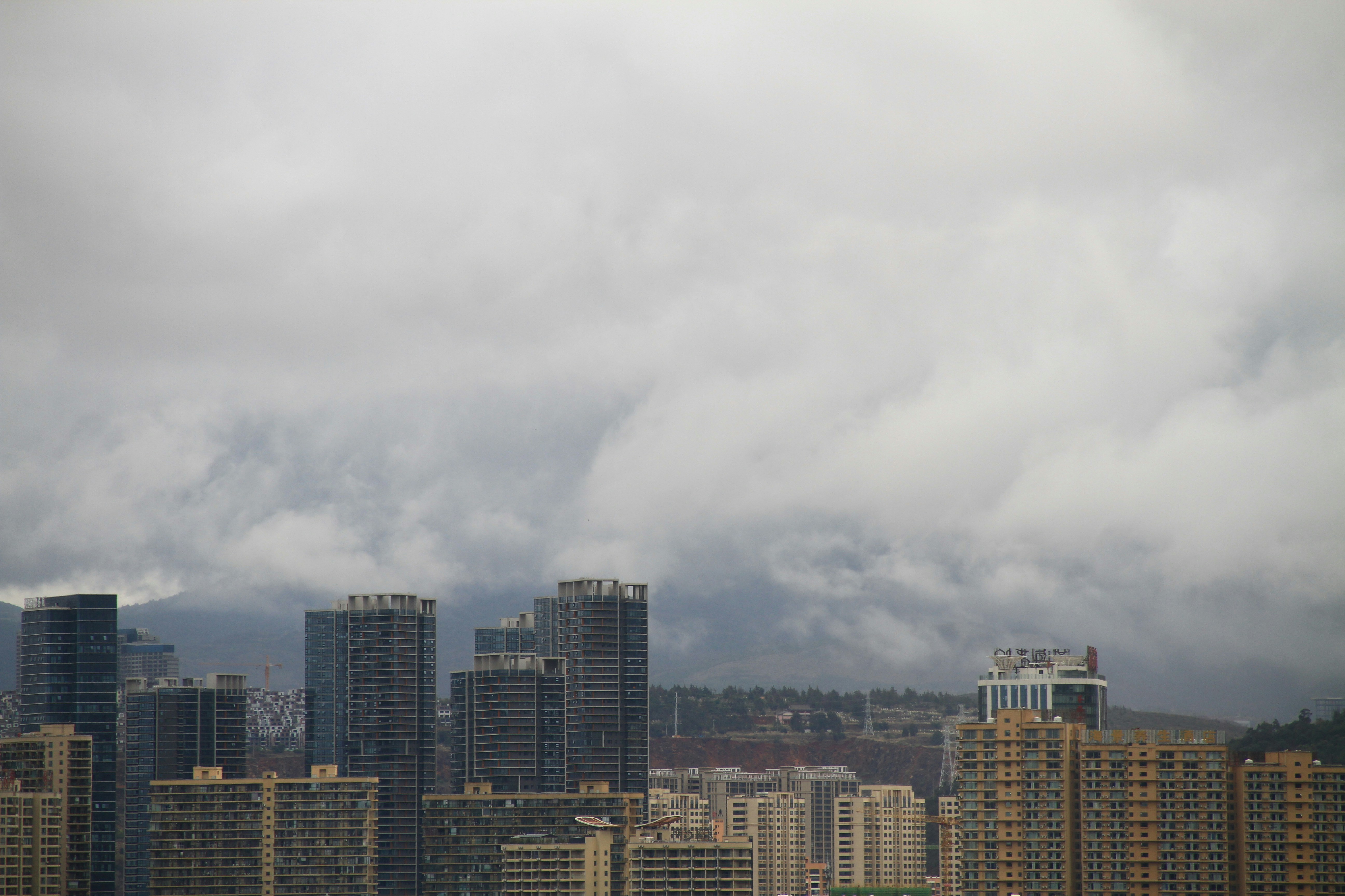 Urban Cradle: Distant Skyscrapers Beneath Brooding Clouds