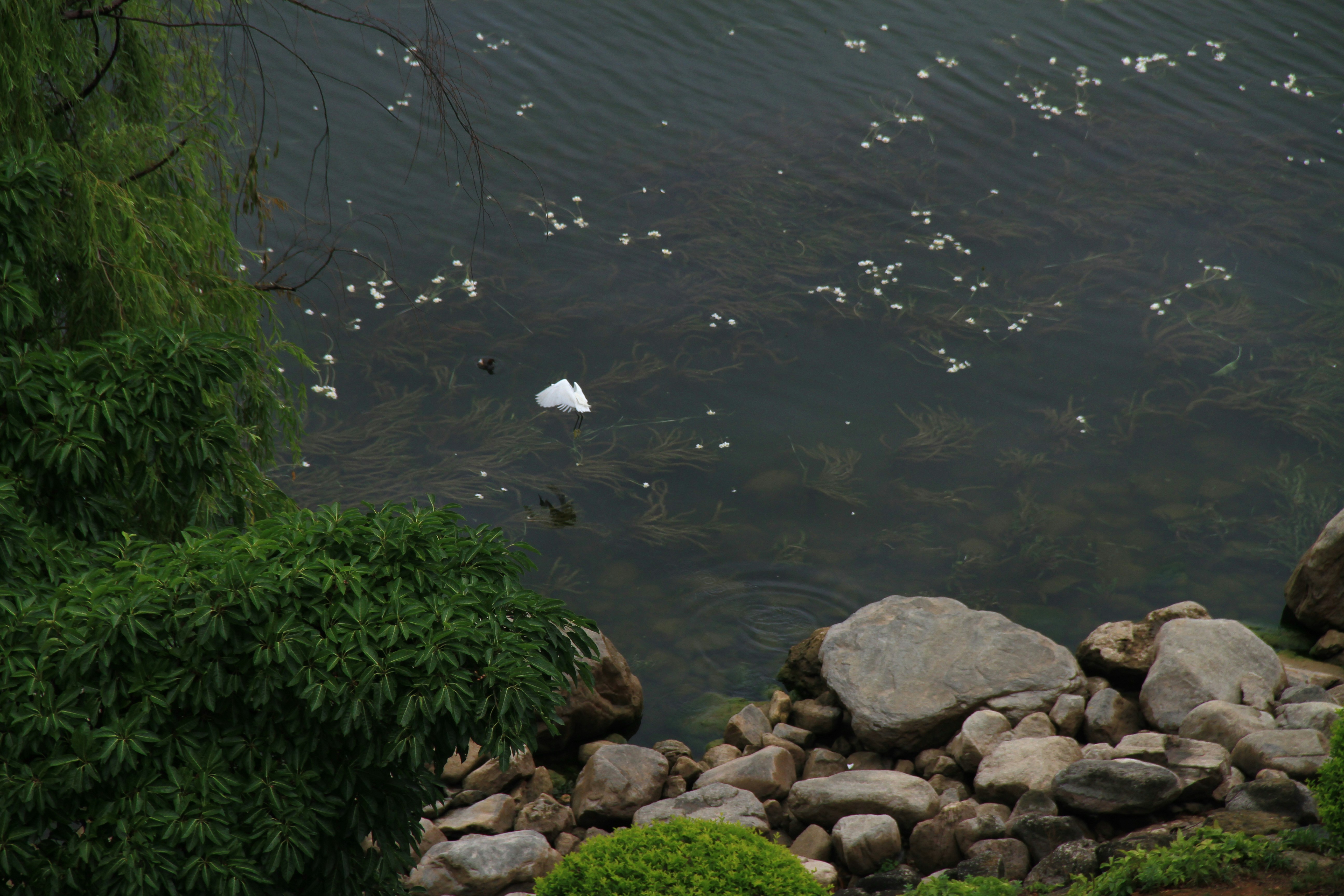 Rugged shoreline over calm water