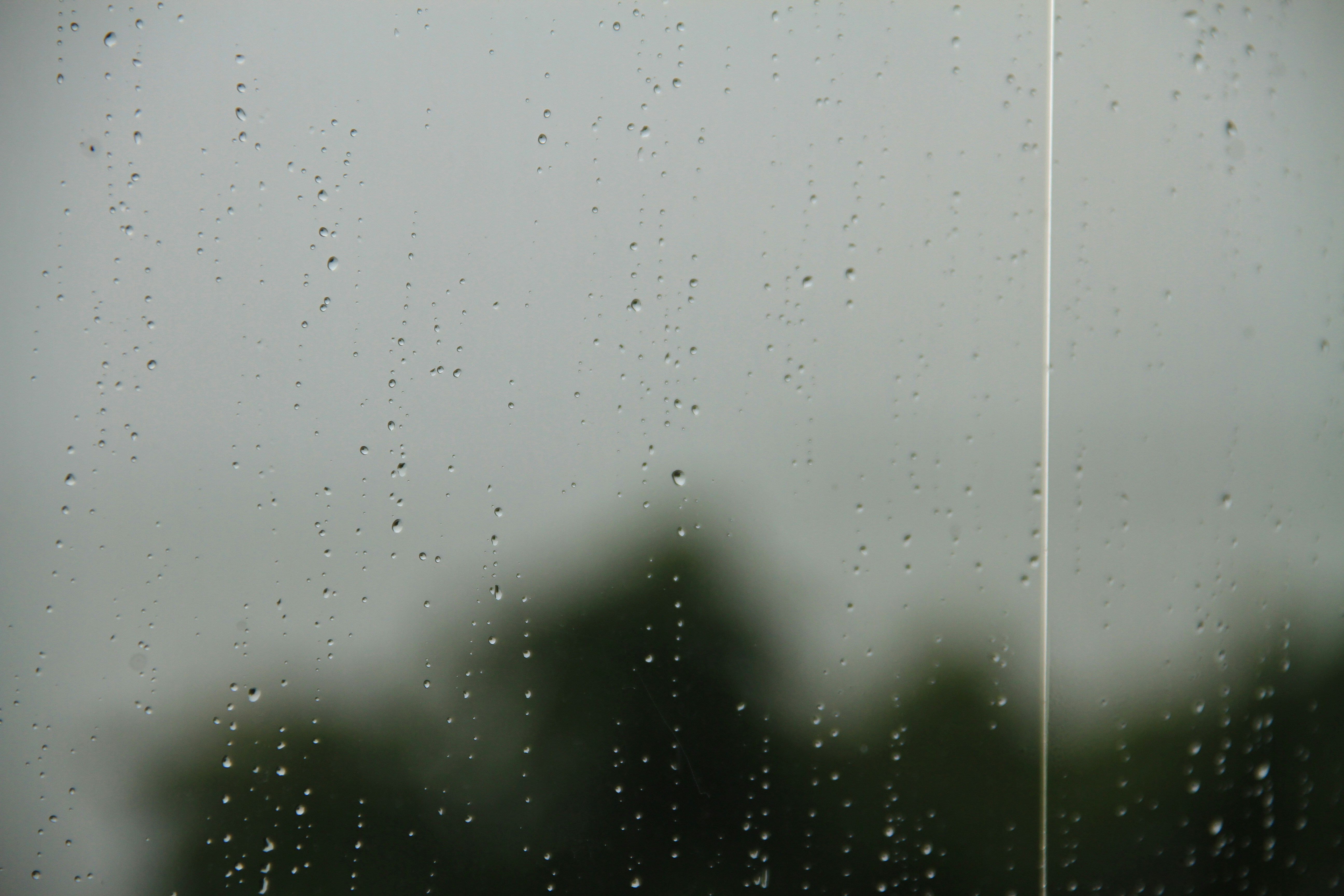Raindrops on Glass: Blur of Trees in Quiet Rain