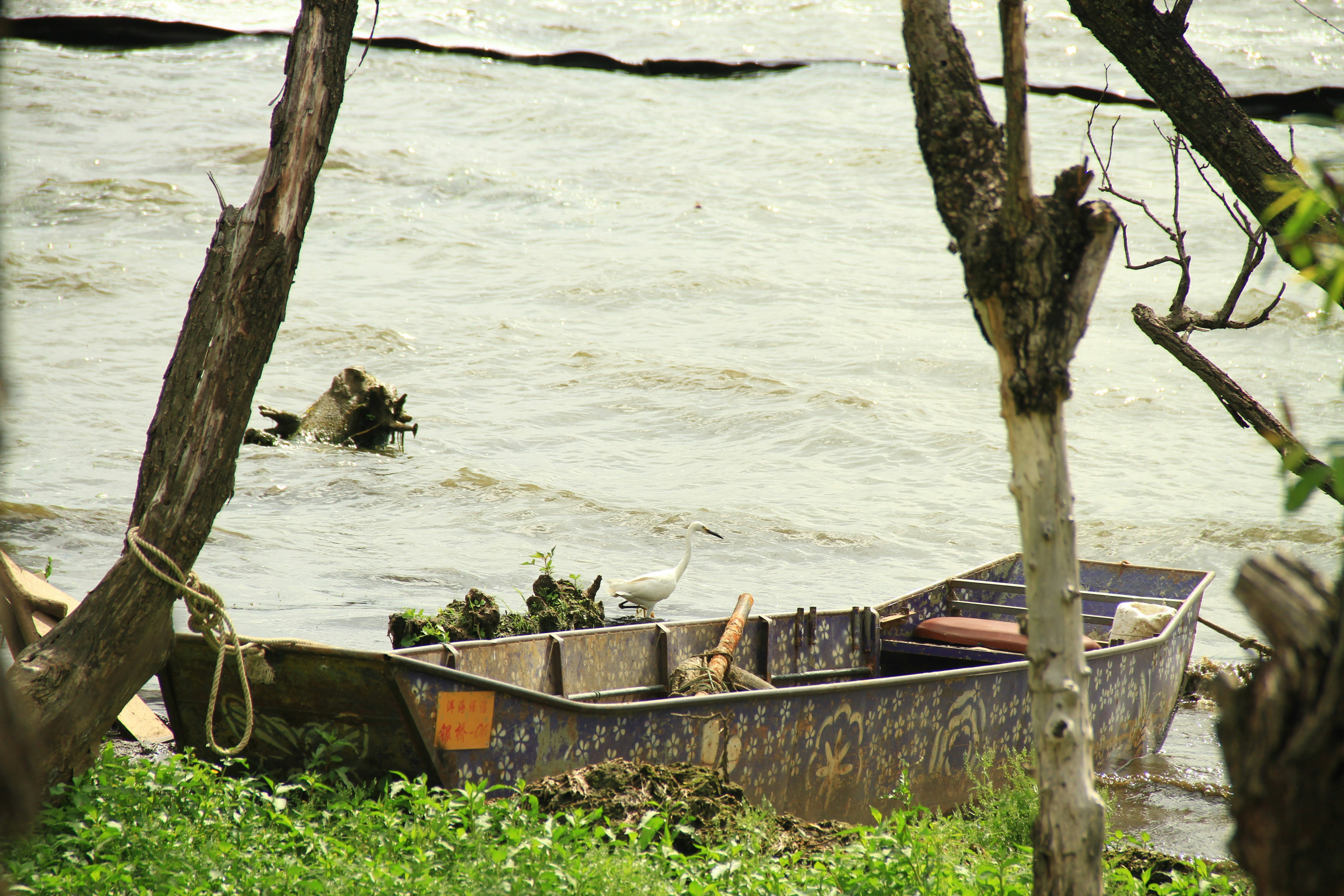 Mud-Streaked Boat Resting by Treeline on Quiet Riverside