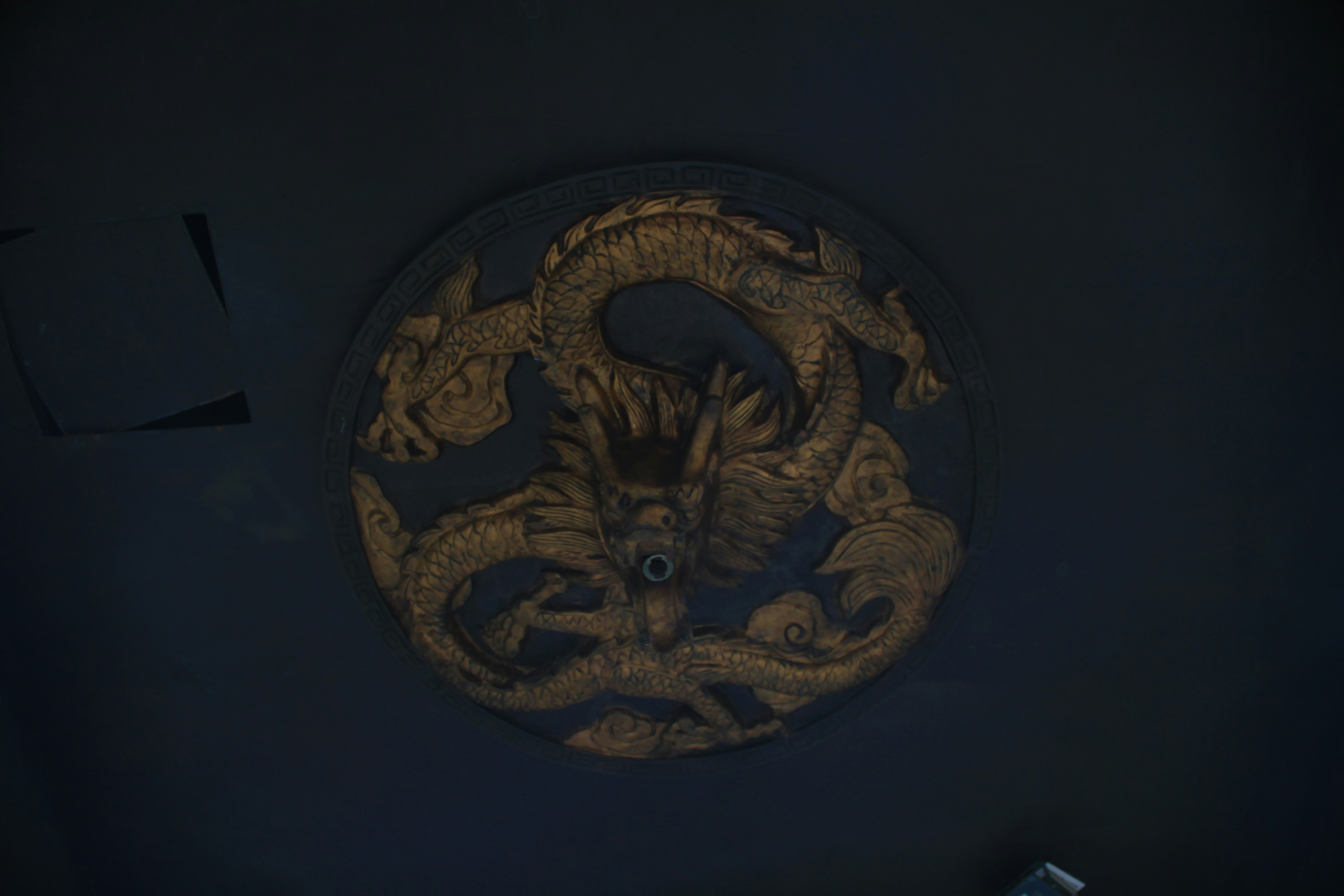 Coiled Dragon Emblem in Moonlit Circle
