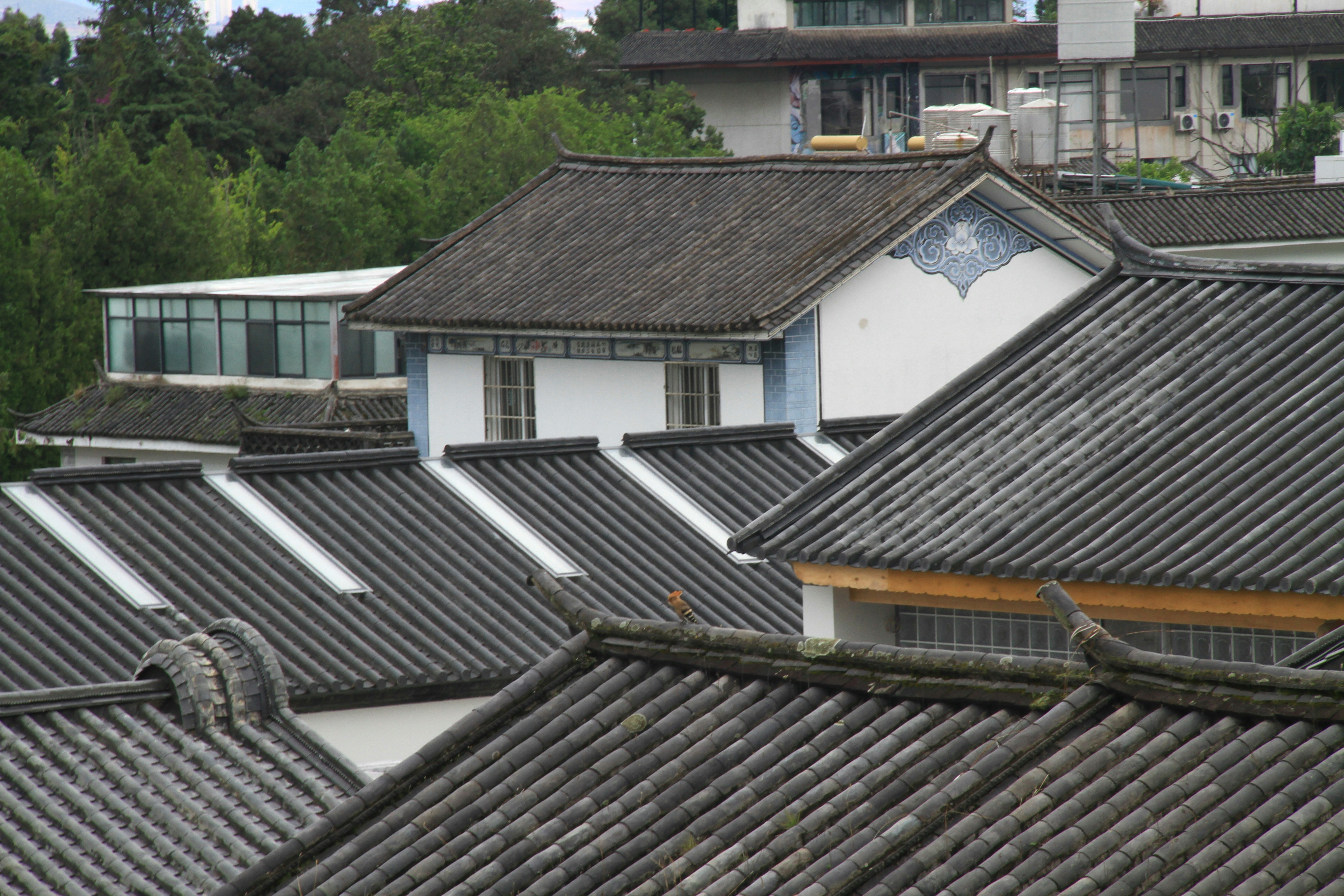 Terraced Tiles: Quiet Ridge of Traditional Roofs