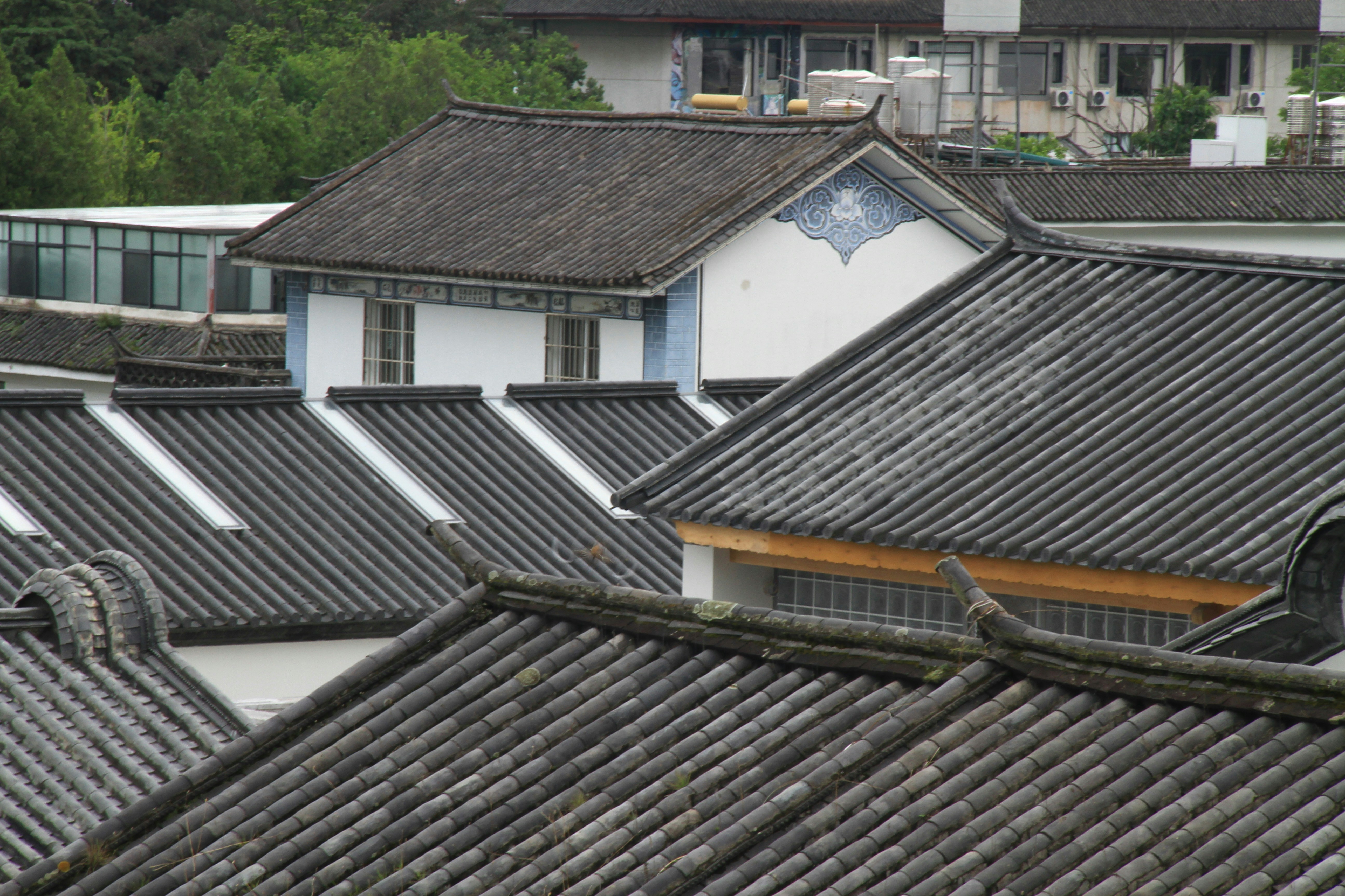 Ridge-lines and Quiet Facades: Rooftops in Muted Light