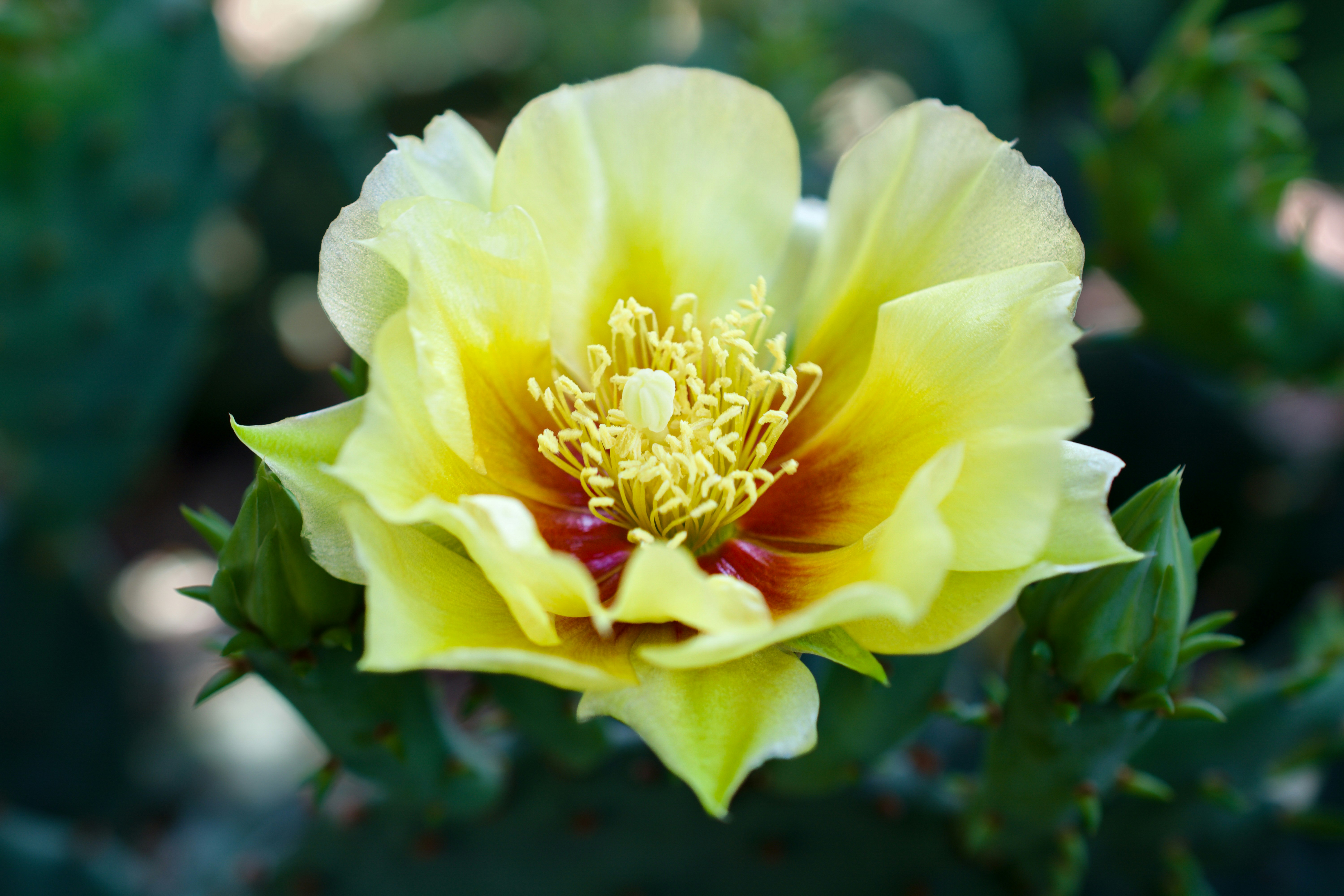 Photo by Bradley Grant with Nikon D7100